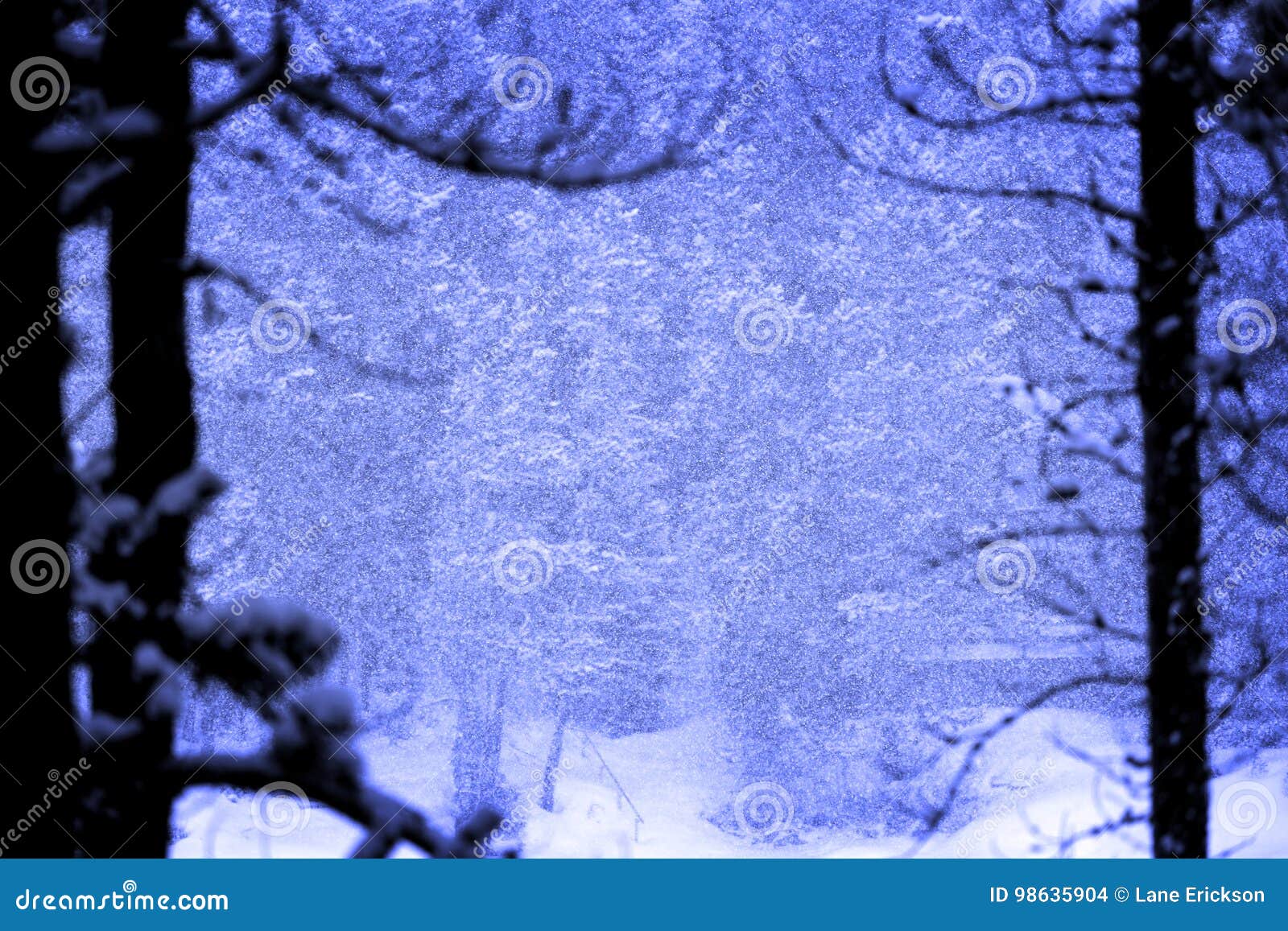 Snow Storm Blizzard Falling Flakes in Winter Time Stock Photo - Image ...