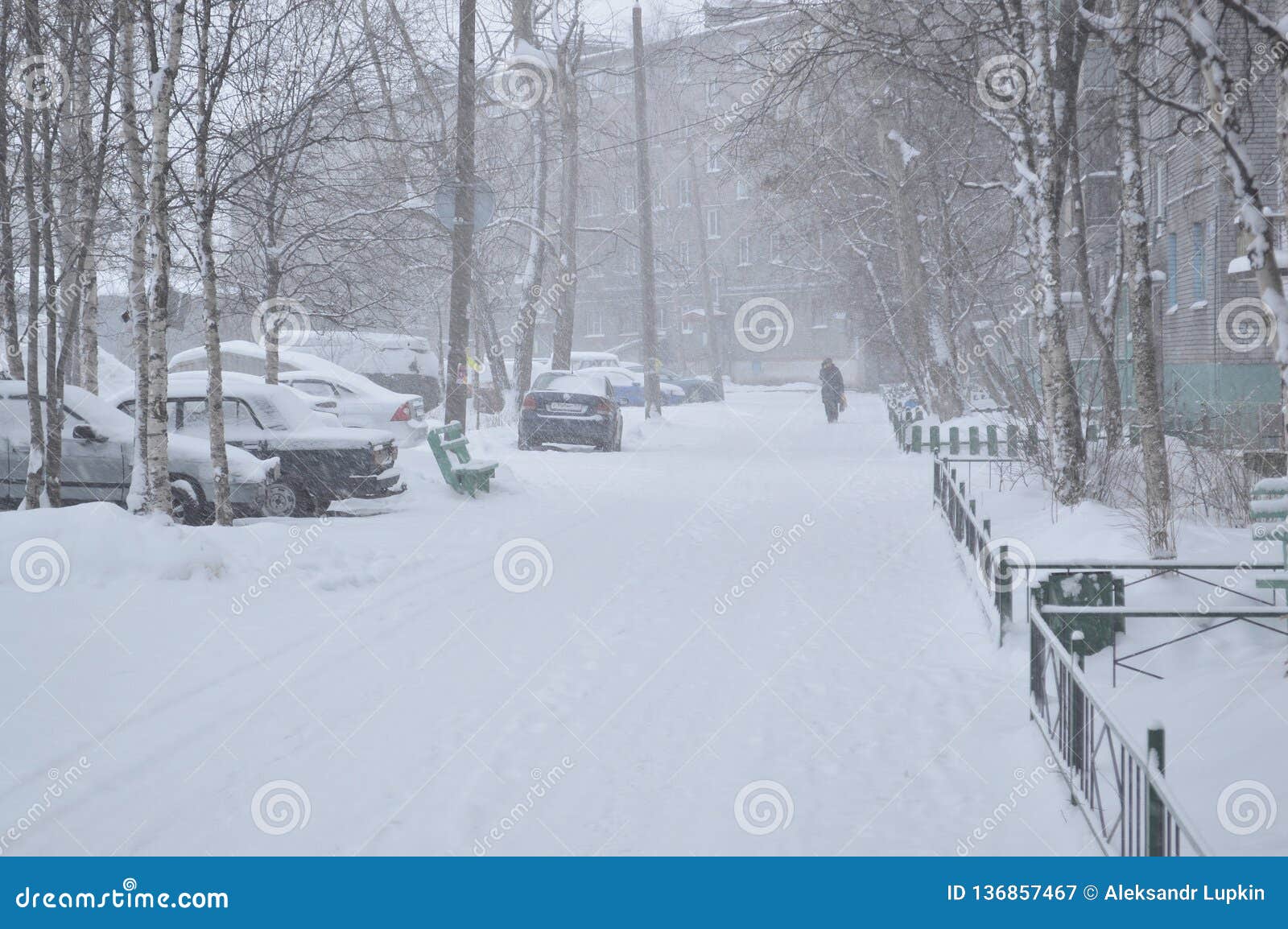 Snow-storm on the City Street. Editorial Photography - Image of snow ...