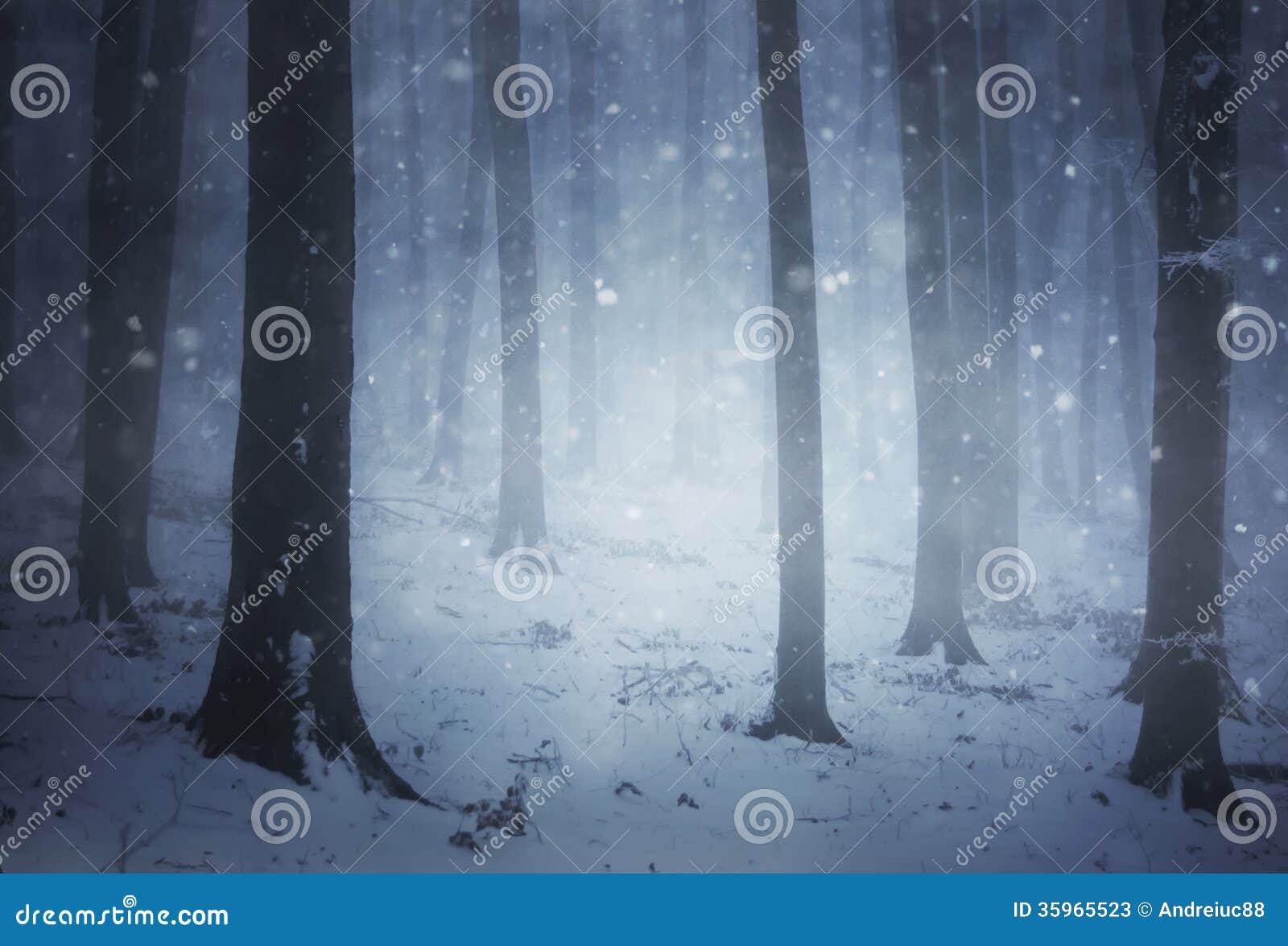 Snow Storm in a Forest with Fog in Winter Evening Stock Image - Image ...