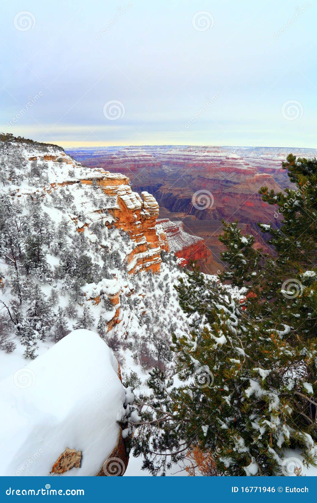 Grand Canyon in Snow Storm, AZ Stock Photo - Image of spruce, grand ...