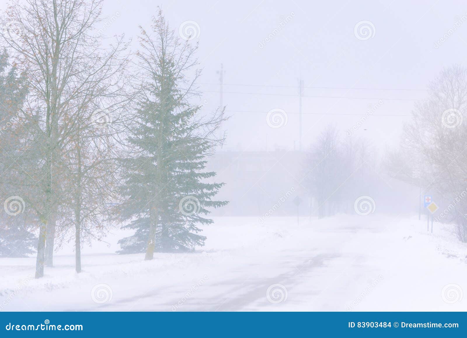 Snow Storm on a Highway in Daylight Stock Photo - Image of meddow ...