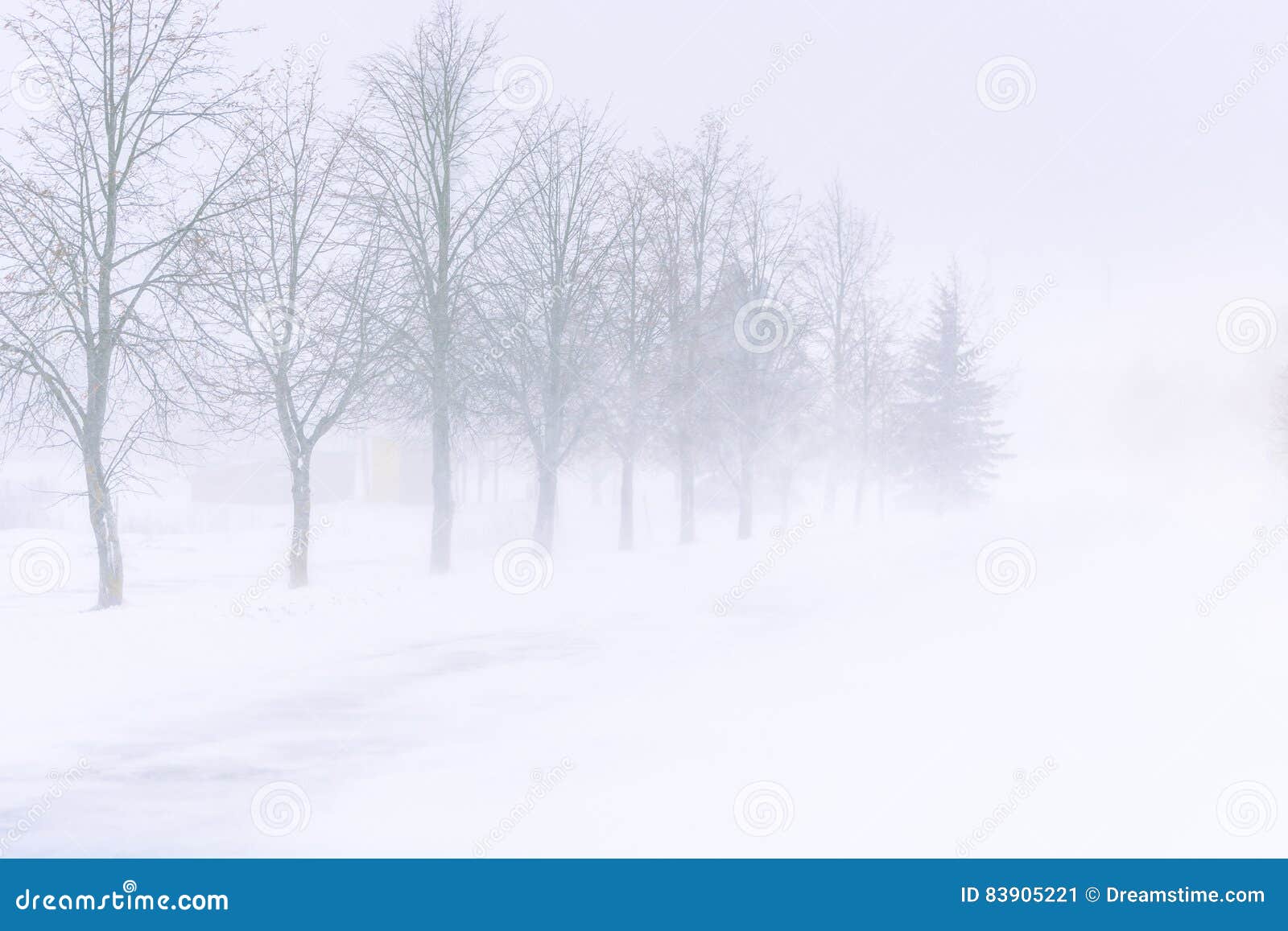 Snow Storm on a Highway in Daylight Stock Image - Image of postcard ...