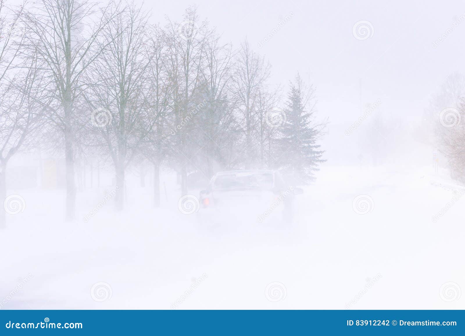 Snow Storm on a Highway in Daylight Stock Photo - Image of meddow, mild ...