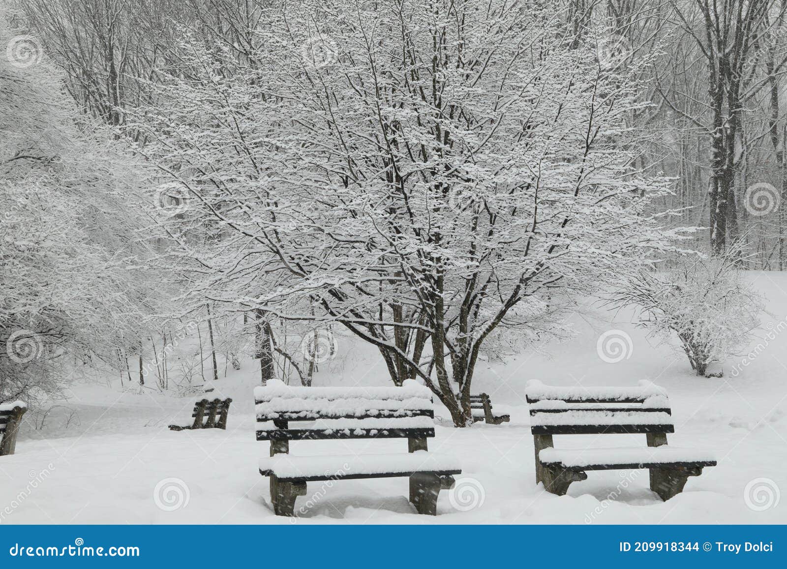 Snow Storm Scene in the Park Stock Photo - Image of background ...