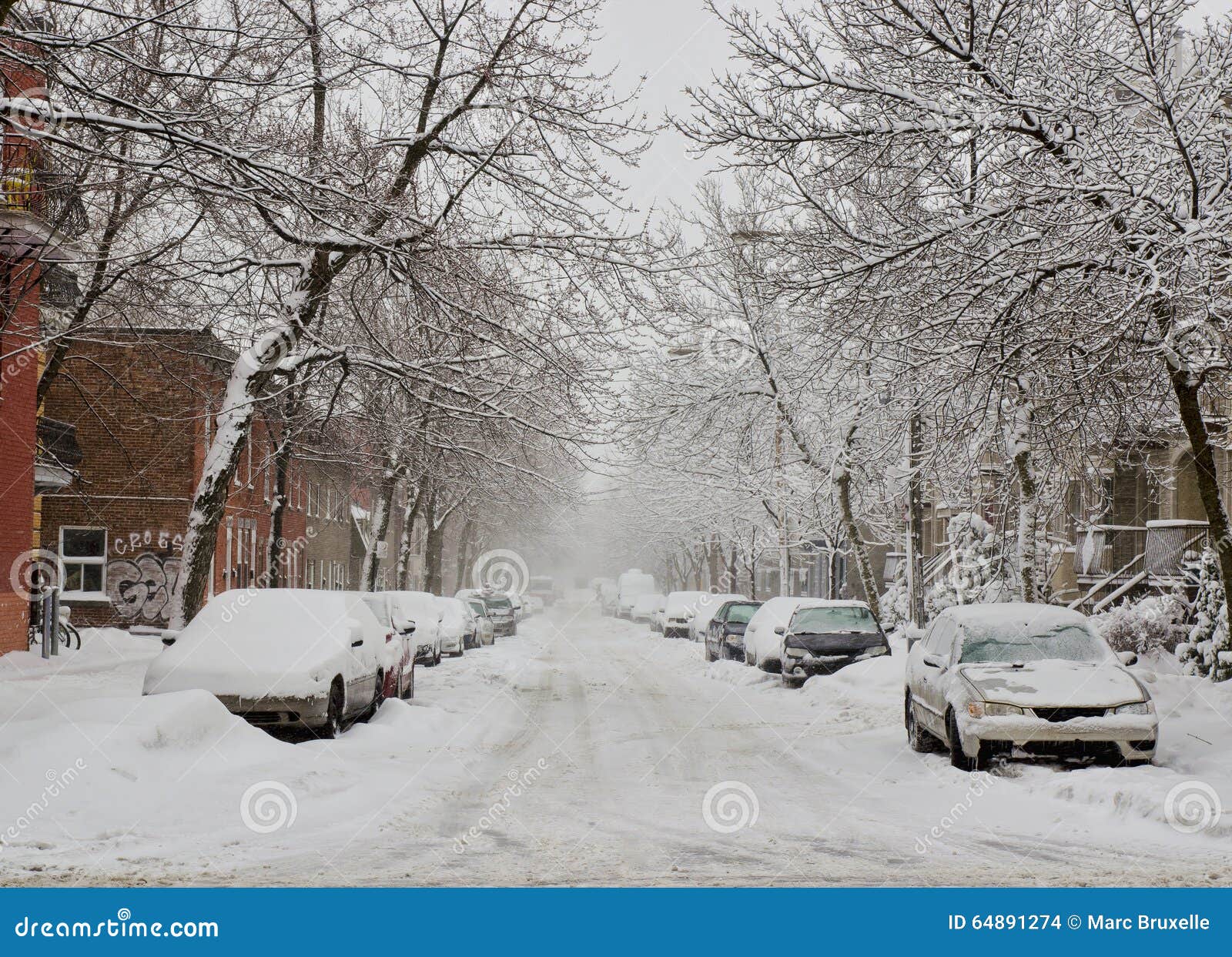 Snow storm in Montreal stock photo. Image of cool, drive - 64891274