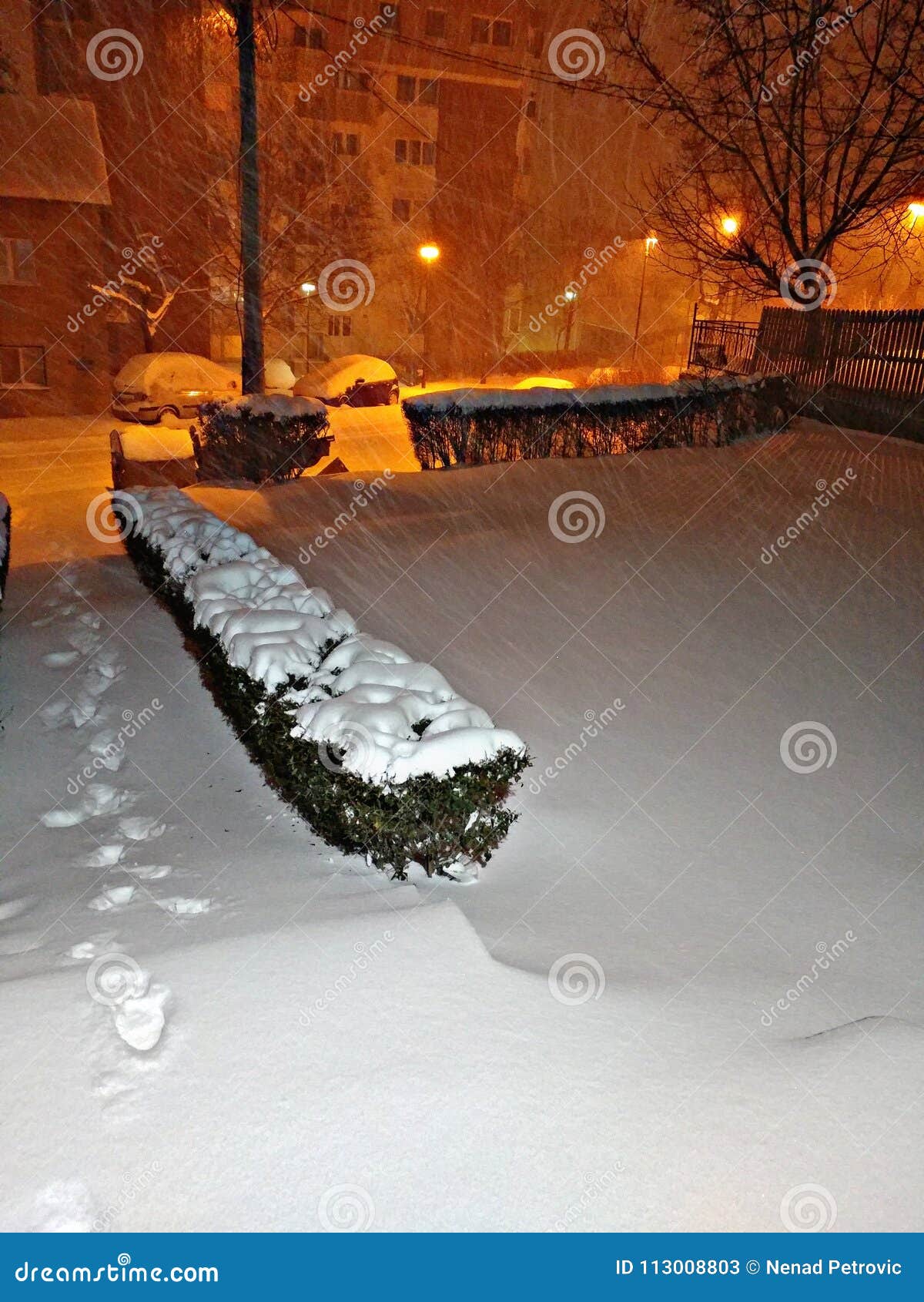 Snow storm stock image. Image of spring, night, storm - 113008803