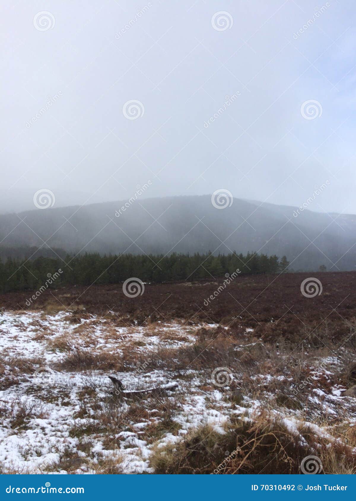 Snow Storm stock photo. Image of dangerous, storm, weather - 70310492