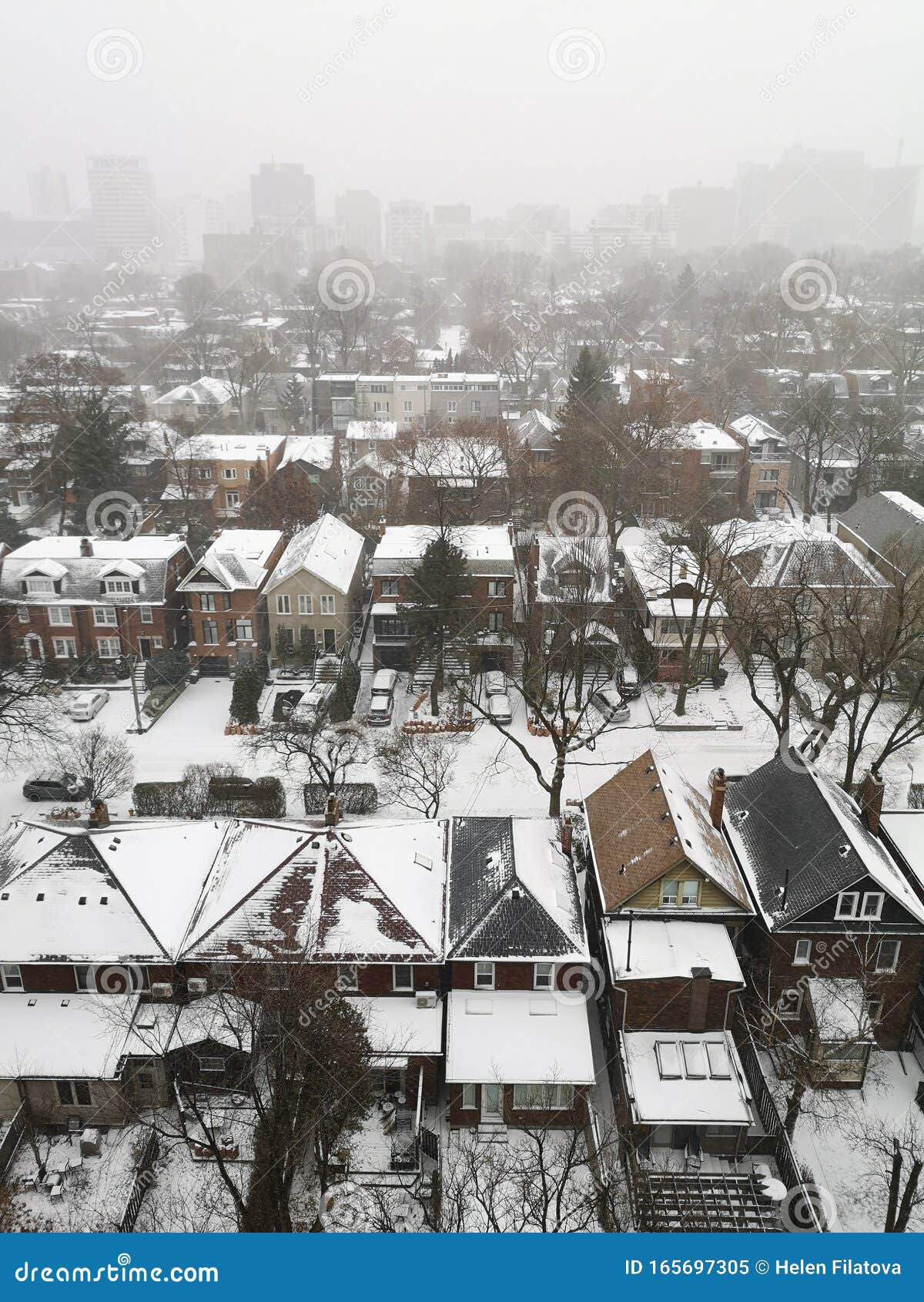Snow storm in Toronto stock image. Image of winter, building - 165697305