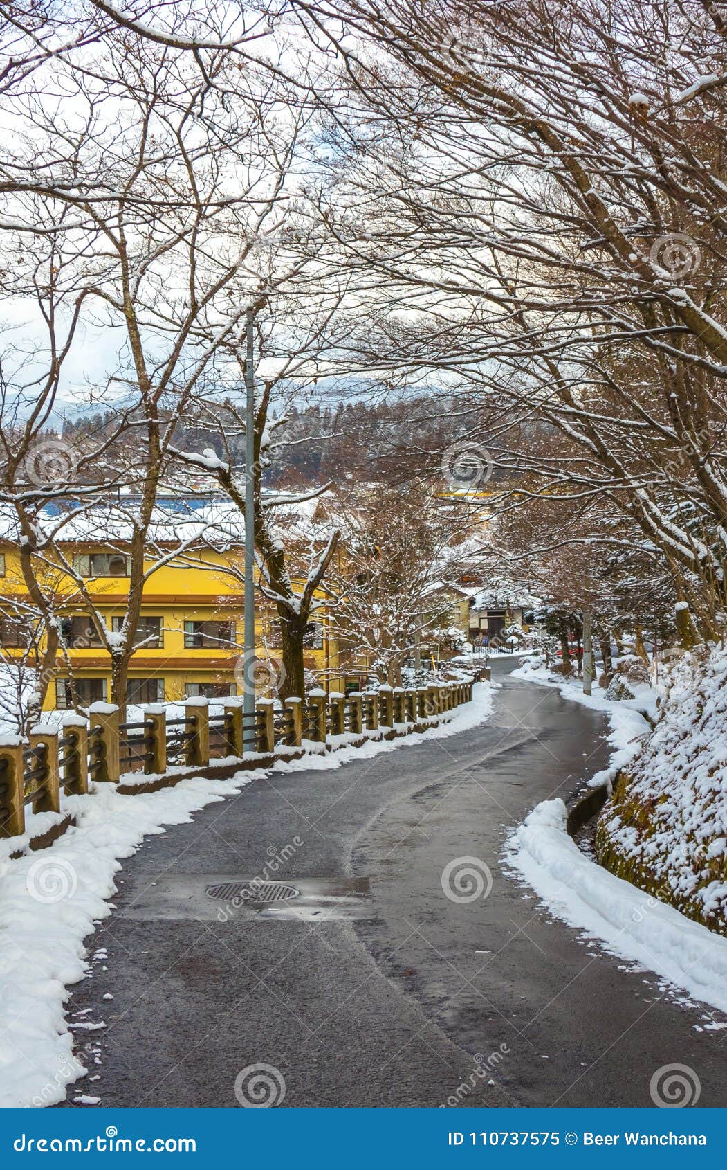 Road,snow,tree, stock image. Image of color, winter - 110737575