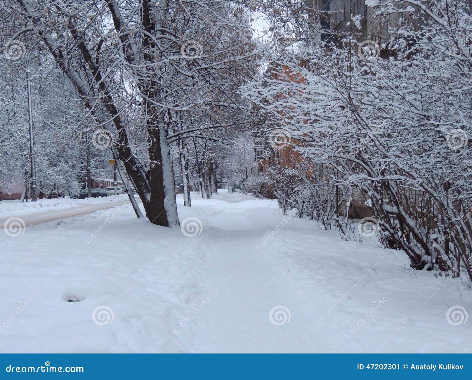 Snow on the street stock image. Image of street, road - 47202301