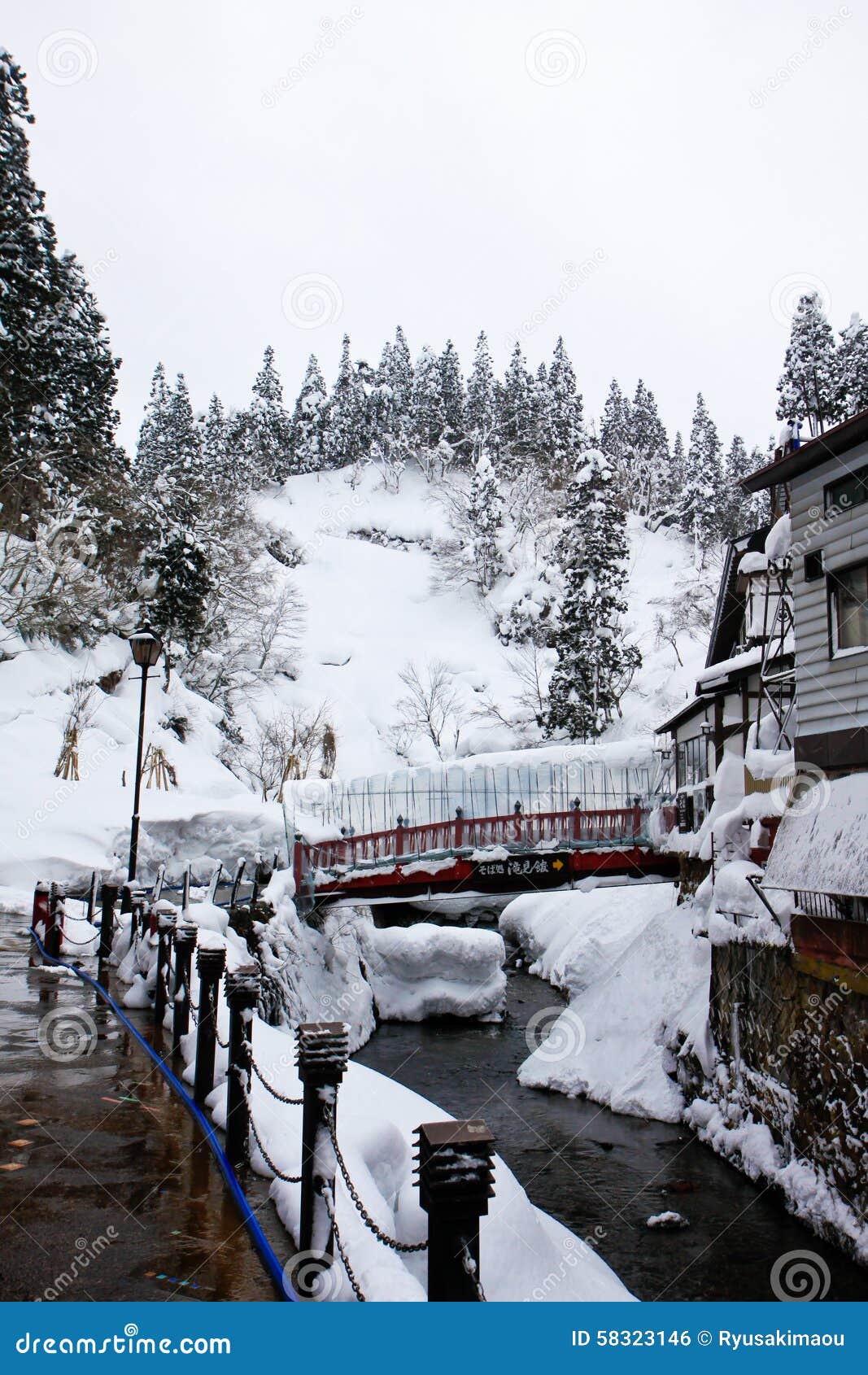 Snow strom in town stock photo. Image of white, blizzard - 58323146