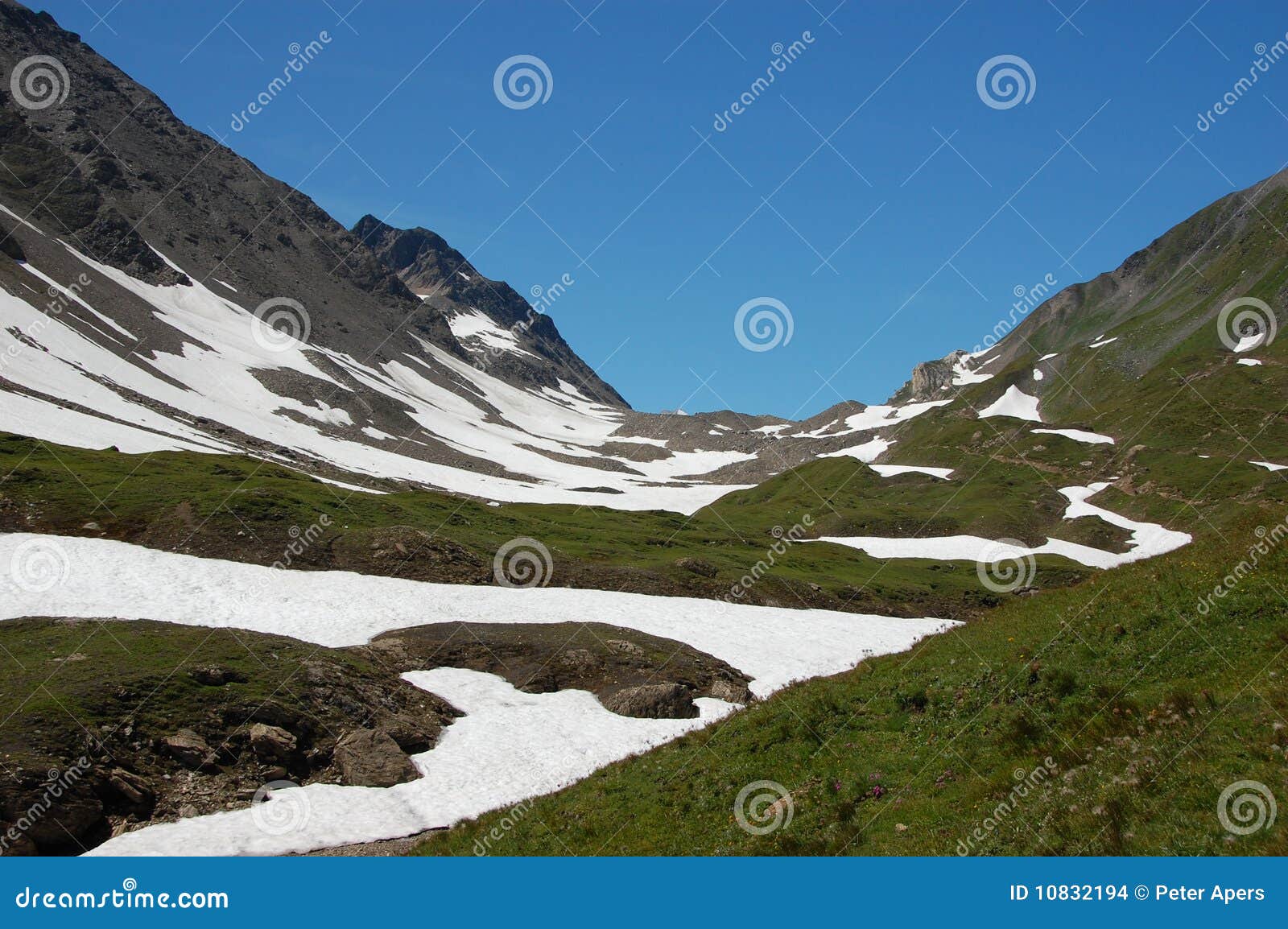 Snow in summer stock photo. Image of sunshine, green - 10832194