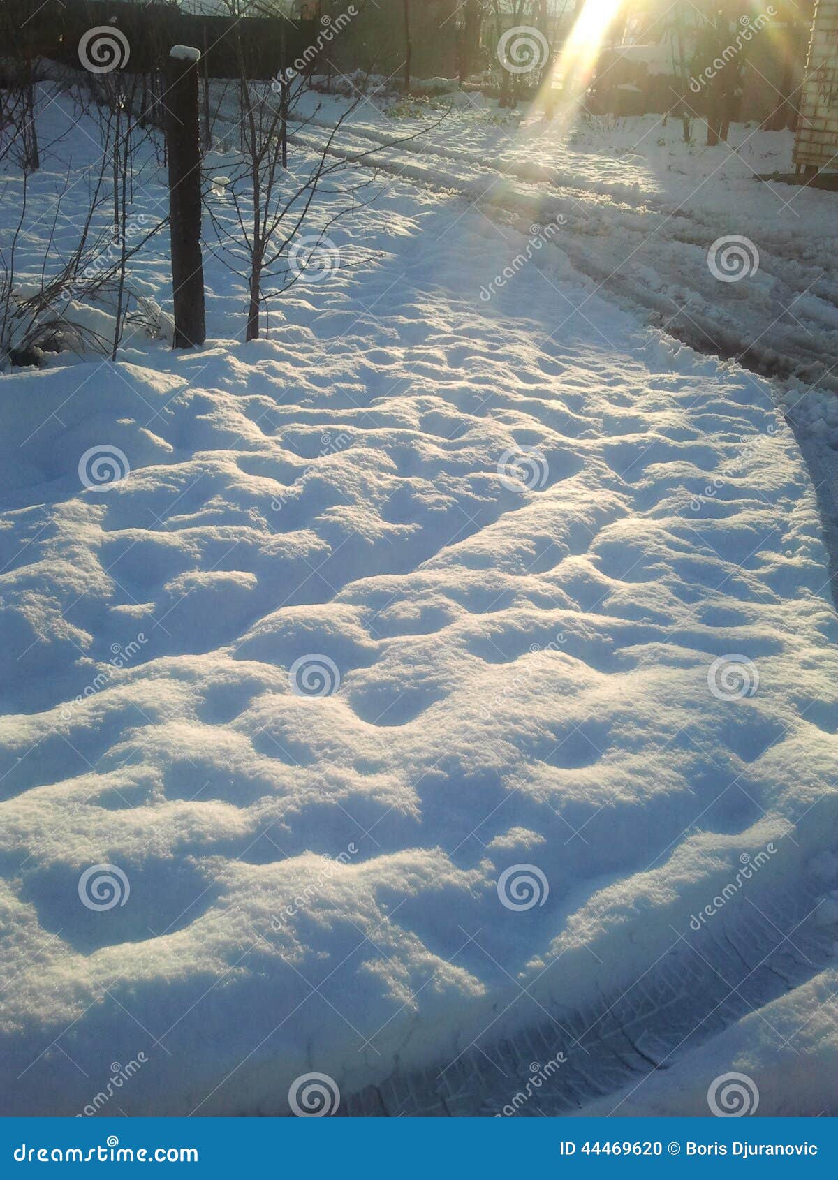 Snow stock photo. Image of snow, cold, rays - 44469620