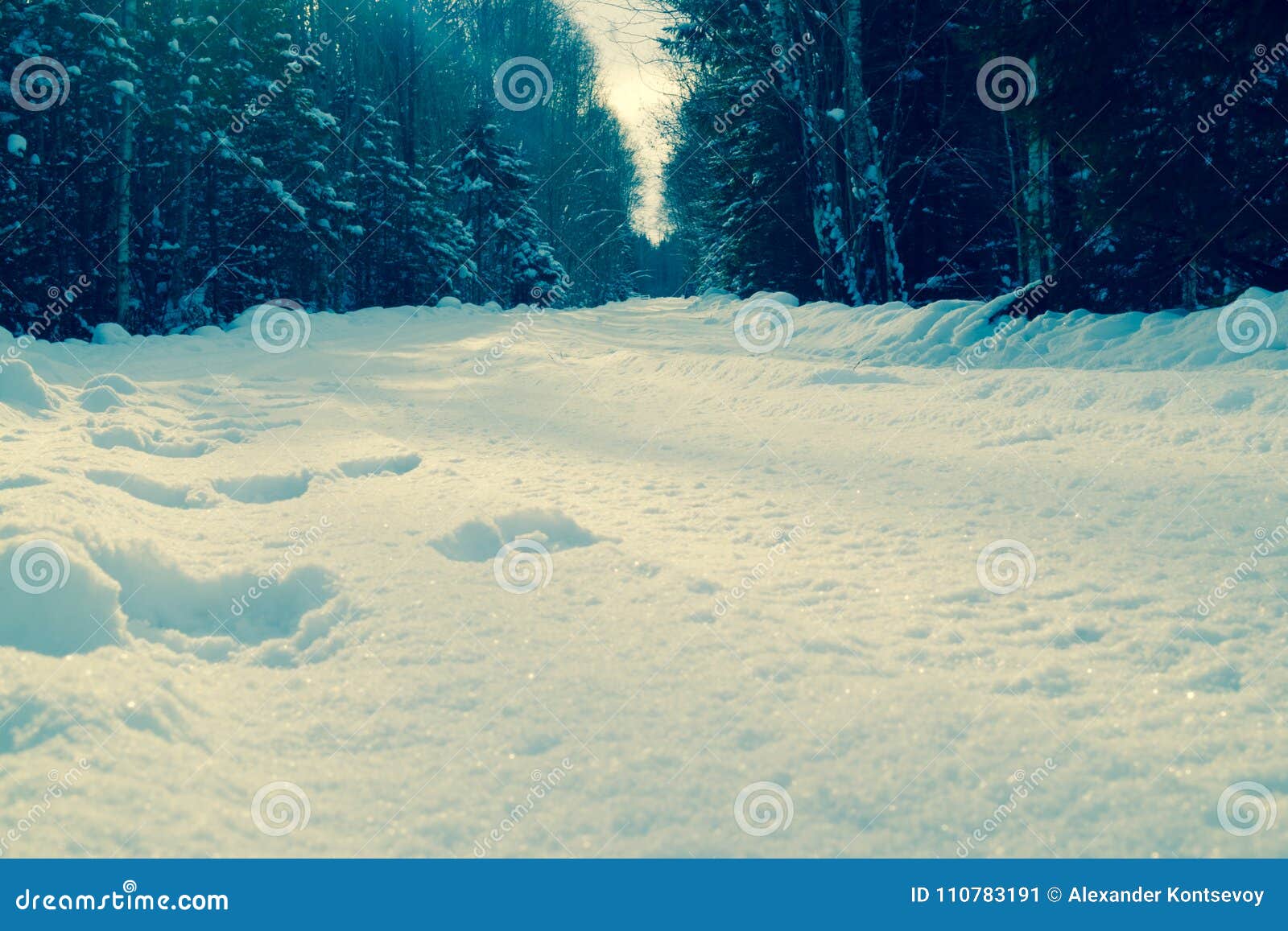Snow sunny road stock image. Image of trees, winter - 110783191