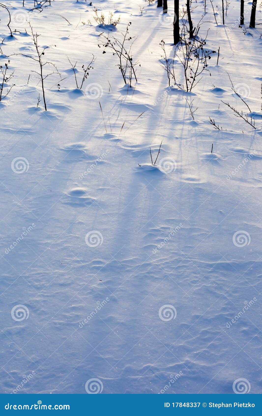 Snow Surface stock image. Image of branches, outdoor - 17848337