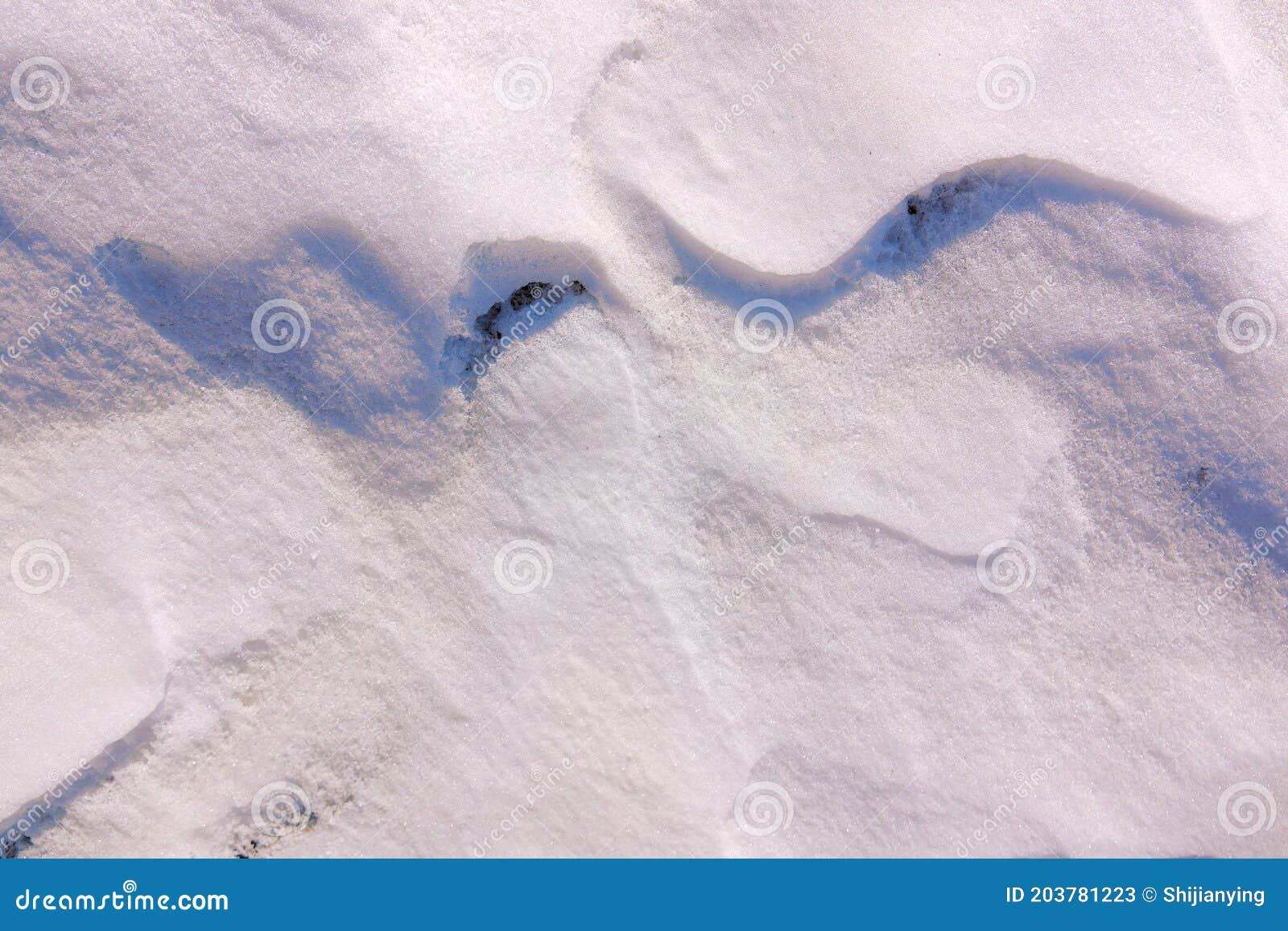 Snow surface stock image. Image of cold, winter, superficies - 203781223