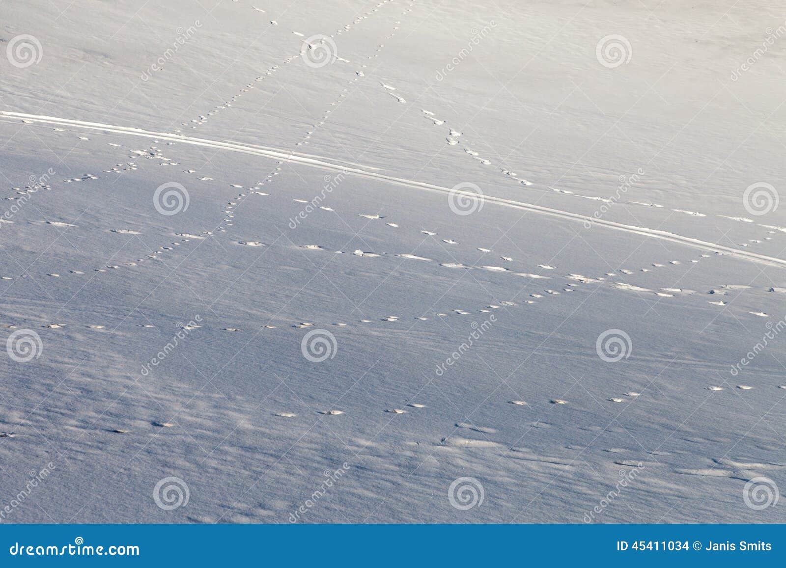 Snow surface. stock photo. Image of frozen, outdoor, path - 45411034