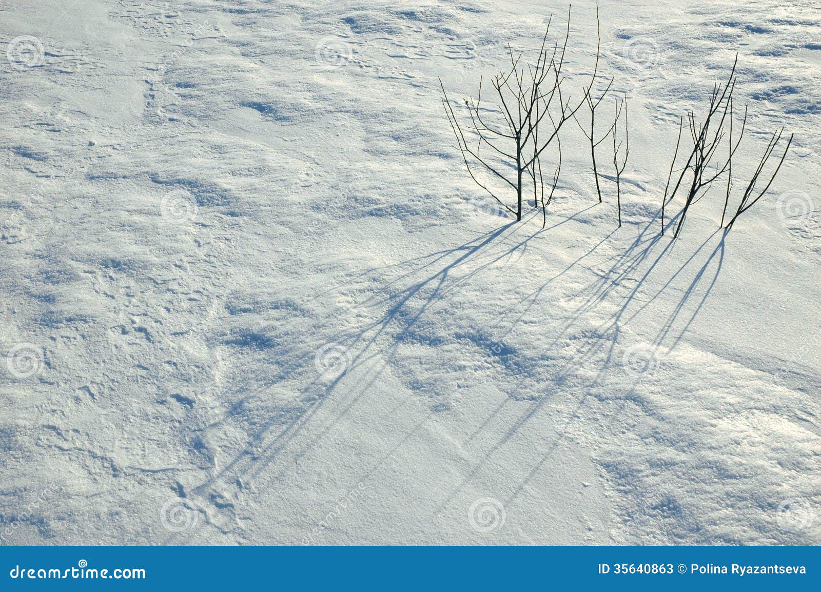 Snow surface with twigs stock image. Image of outdoor - 35640863