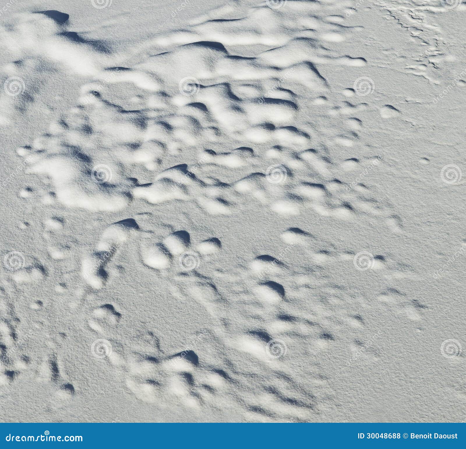 Snow texture stock photo. Image of land, gray, north - 30048688