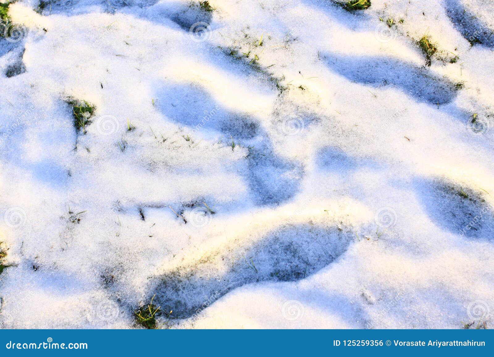 Snow Texture with Foot Step Stock Photo - Image of season, background ...