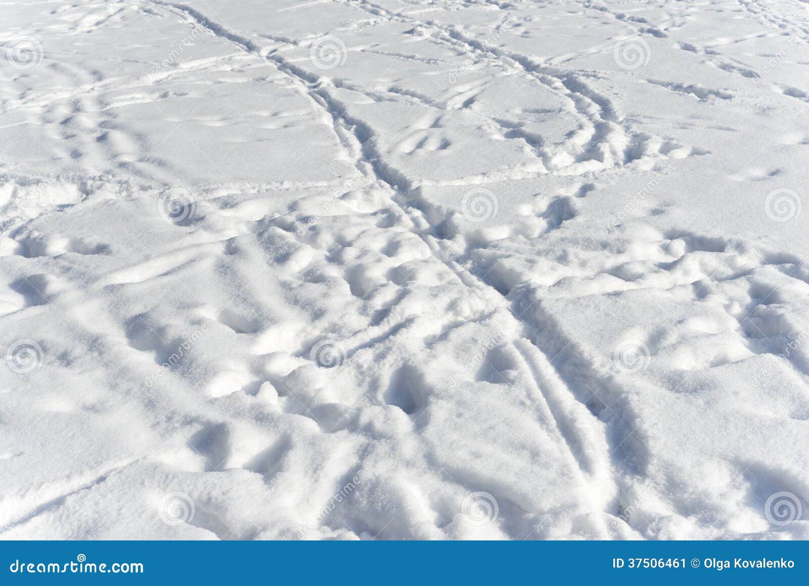 Snow Texture and Footprints in the Snow Stock Image - Image of cowered ...