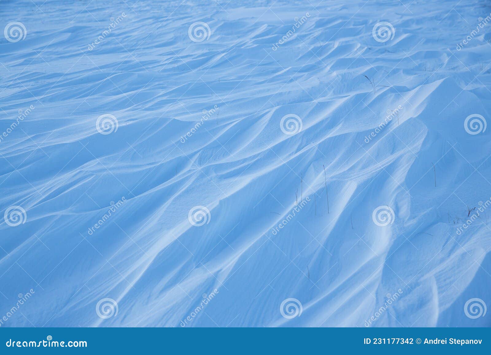 Snow Texture. Wind Sculpted Patterns on Snow Surface Stock Photo ...
