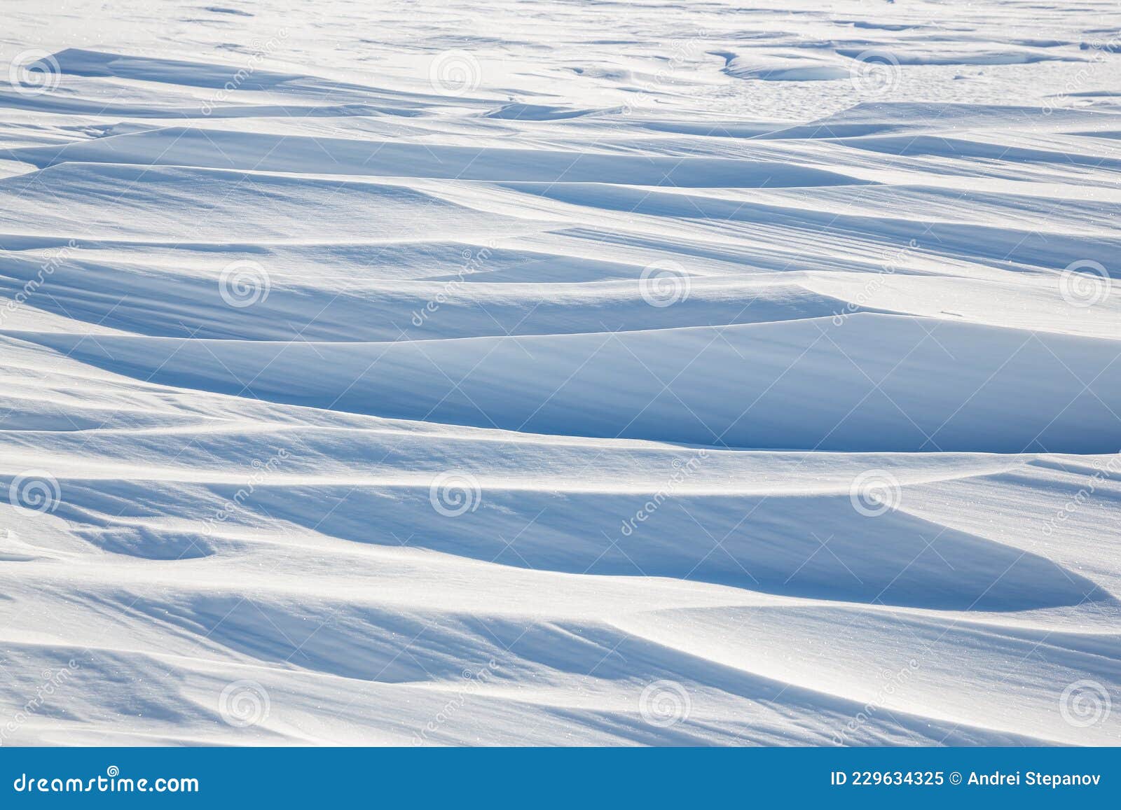Snow Texture. Wind Sculpted Patterns on Snow Surface Stock Image ...