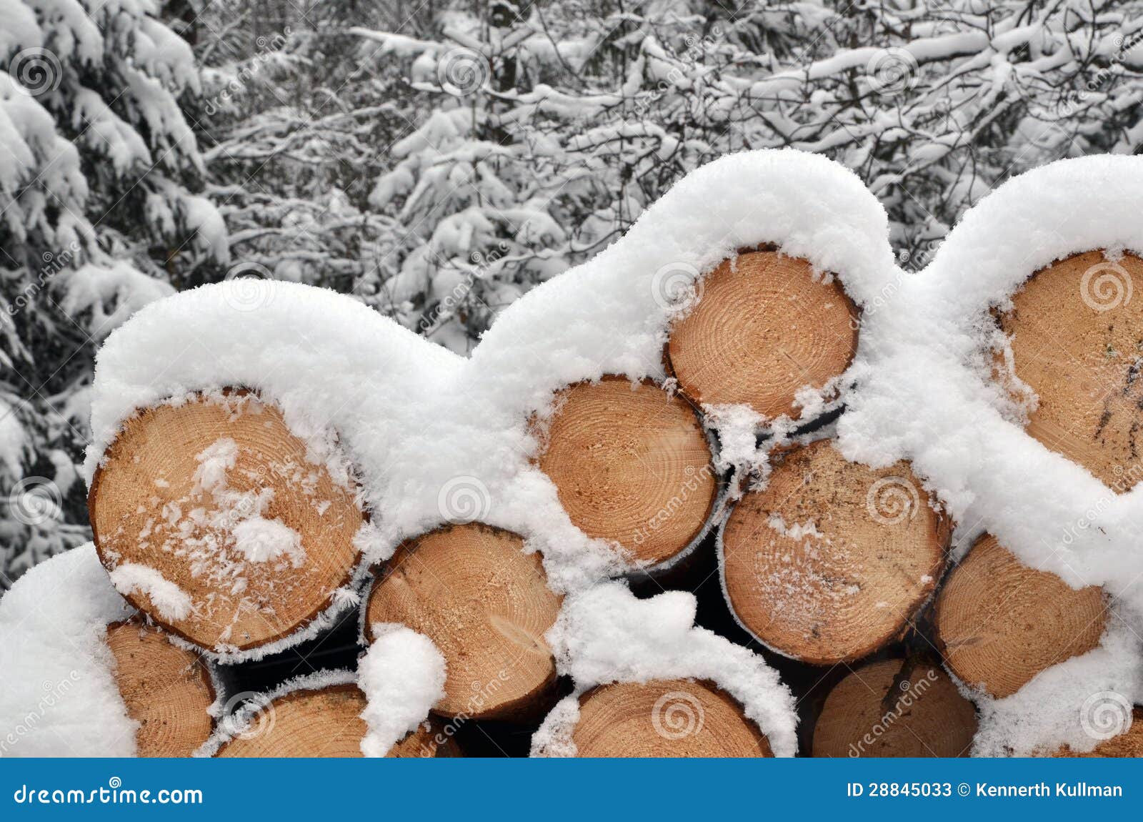 Snow on timber stack stock image. Image of environment - 28845033