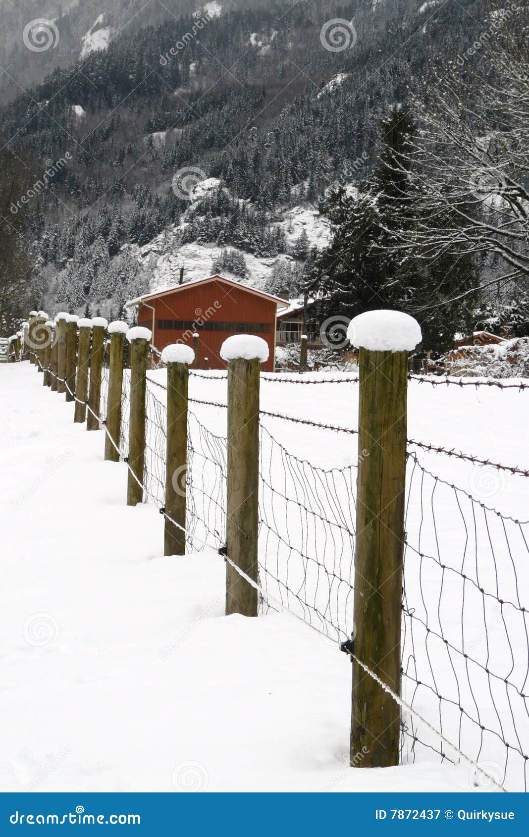 A Snow Topped Fence stock image. Image of frost, fencing - 7872437
