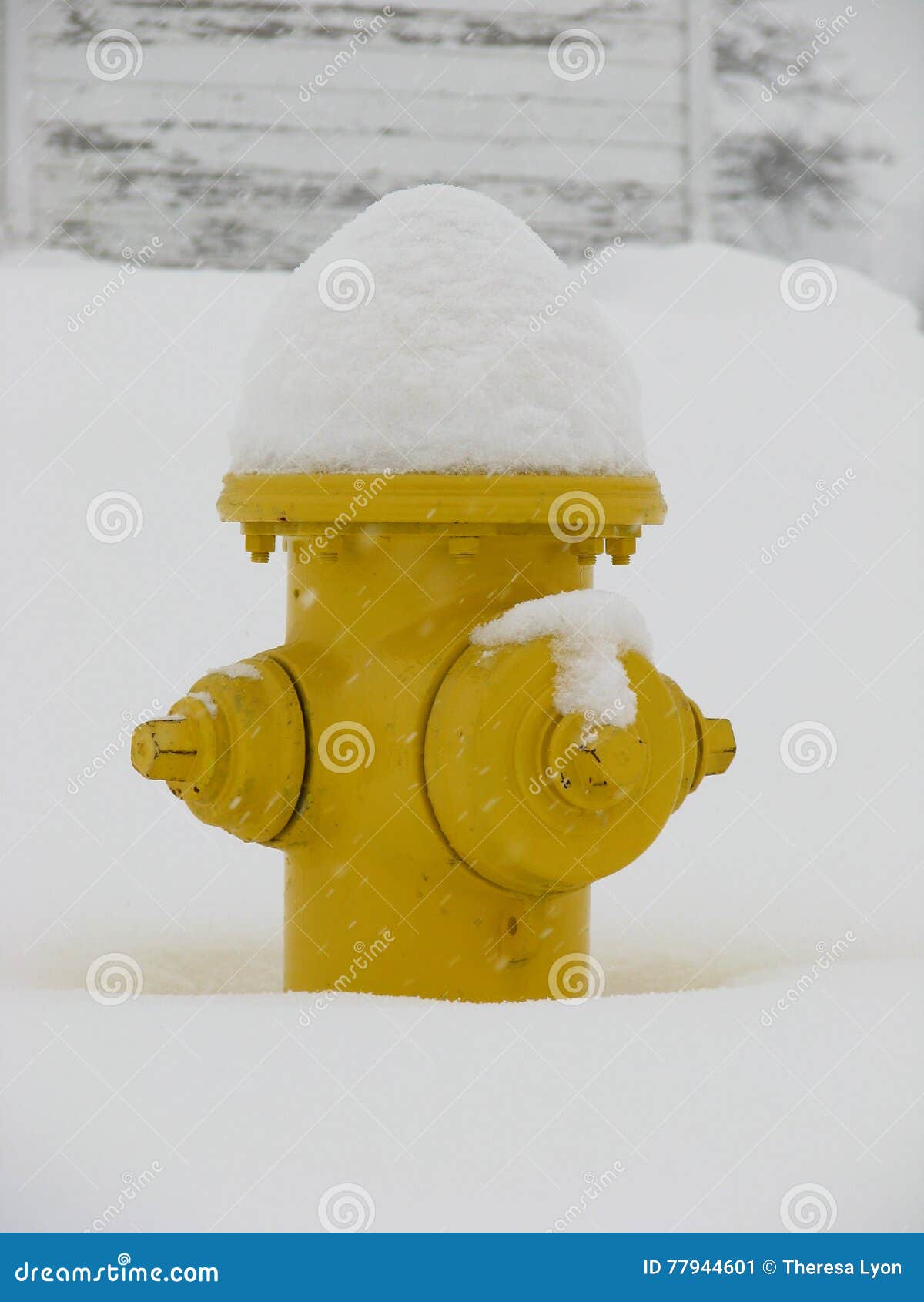 Snow Topped Yellow Fire Hydrant on Winter Day Stock Image - Image of ...