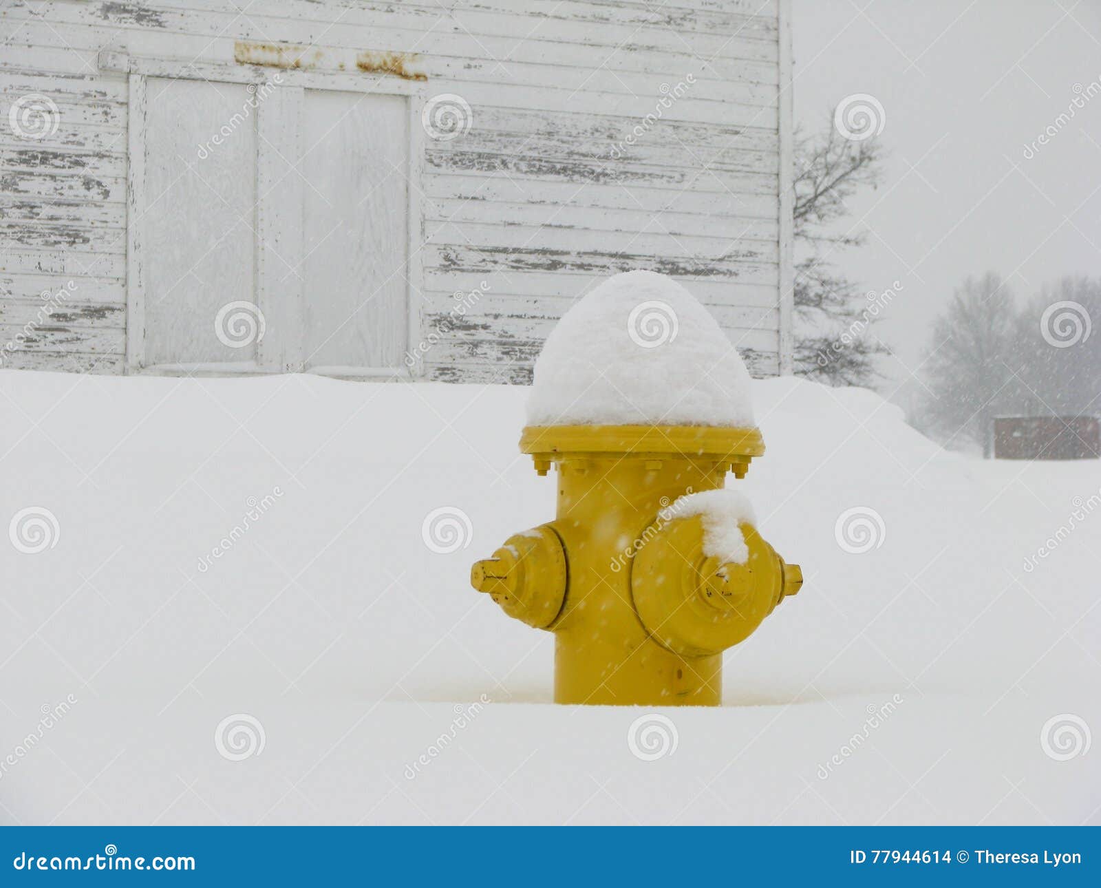 Snow Topped Yellow Fire Hydrant on Winter Day Stock Photo - Image of ...