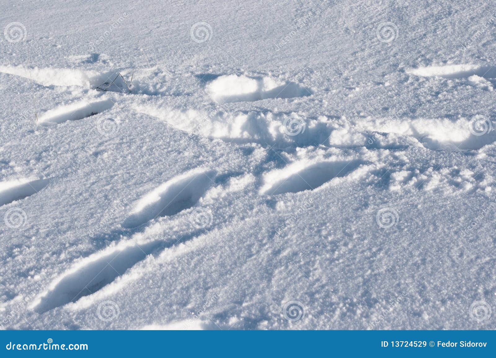 Snow traces stock image. Image of traces, snow, snowdrift - 13724529