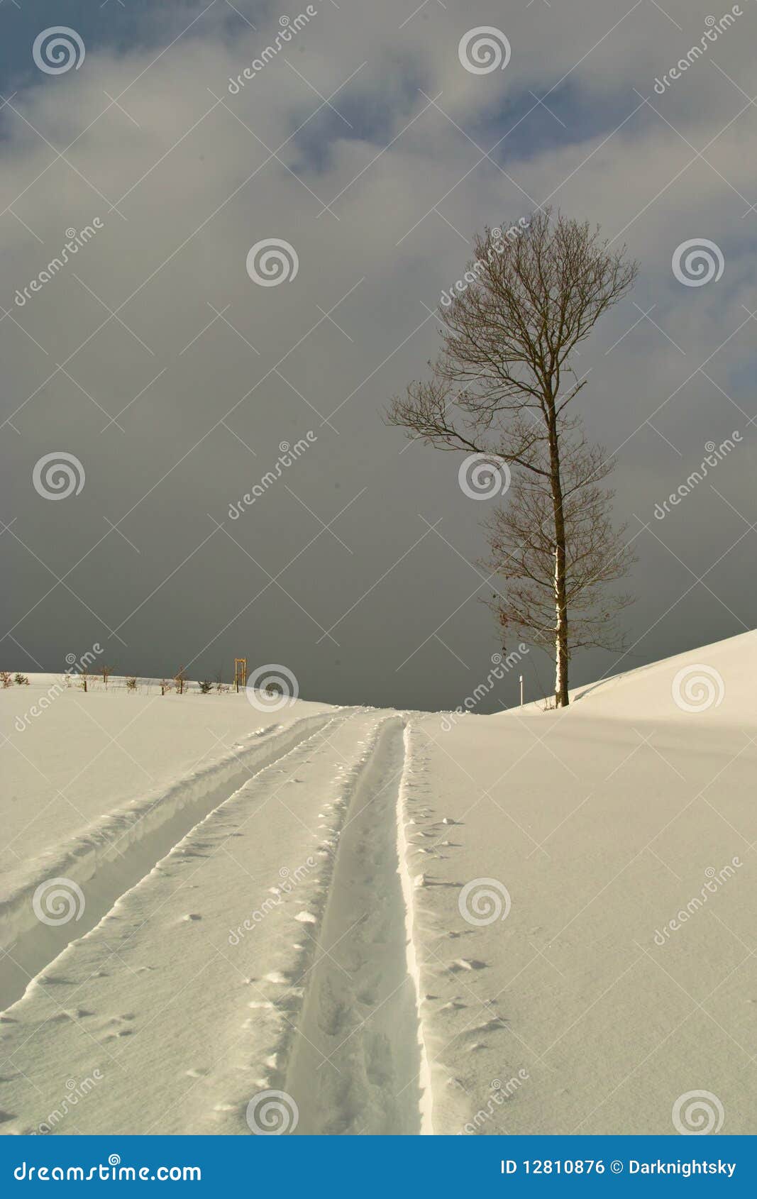 Snow Track stock photo. Image of perspective, left, landscape - 12810876