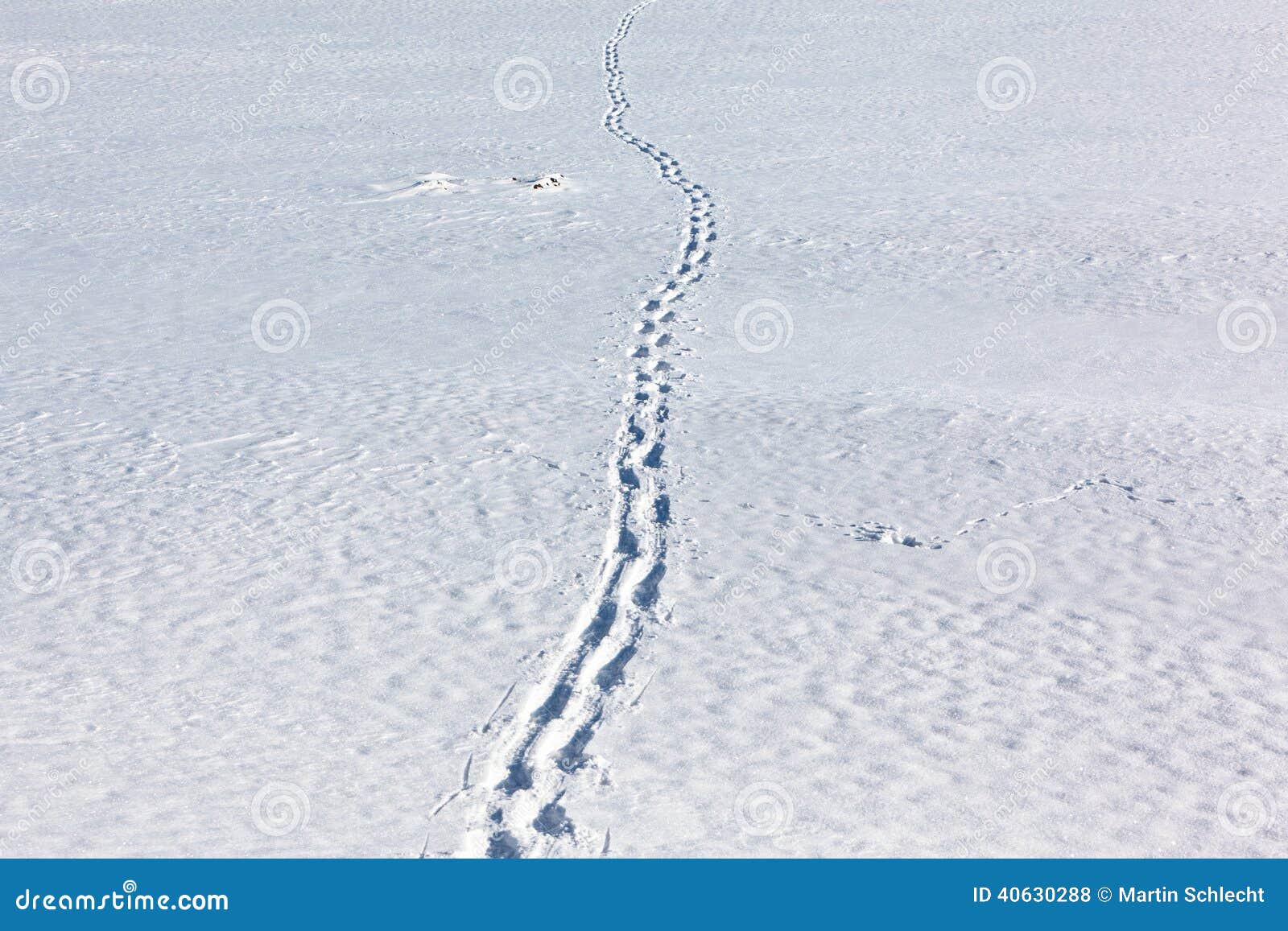 Snow track stock photo. Image of climate, covered, away - 40630288
