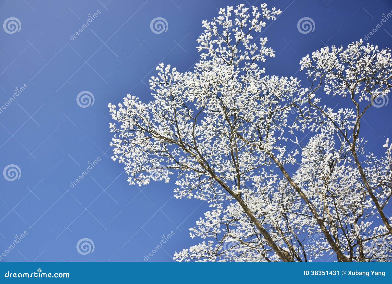 Snow tree on blue sky stock image. Image of weather, empty - 38351431