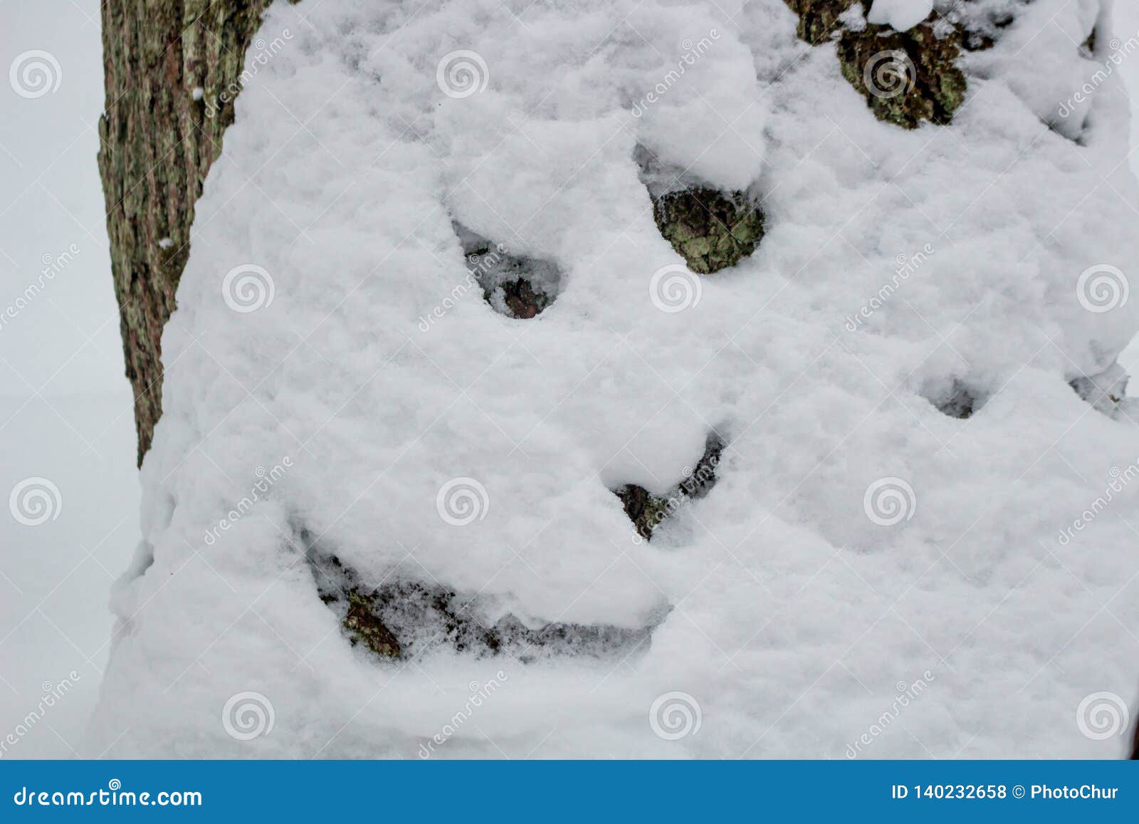 Snow on a Tree in the Form of a Face Stock Photo - Image of white ...