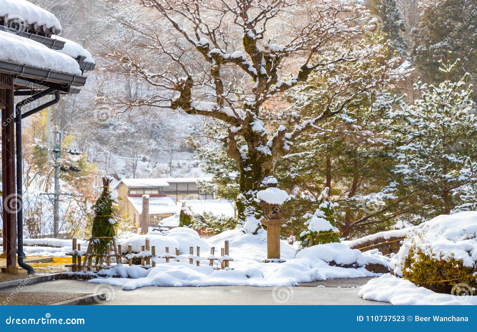 Snow,Tree,Home,Garden stock image. Image of wood, view - 110737523