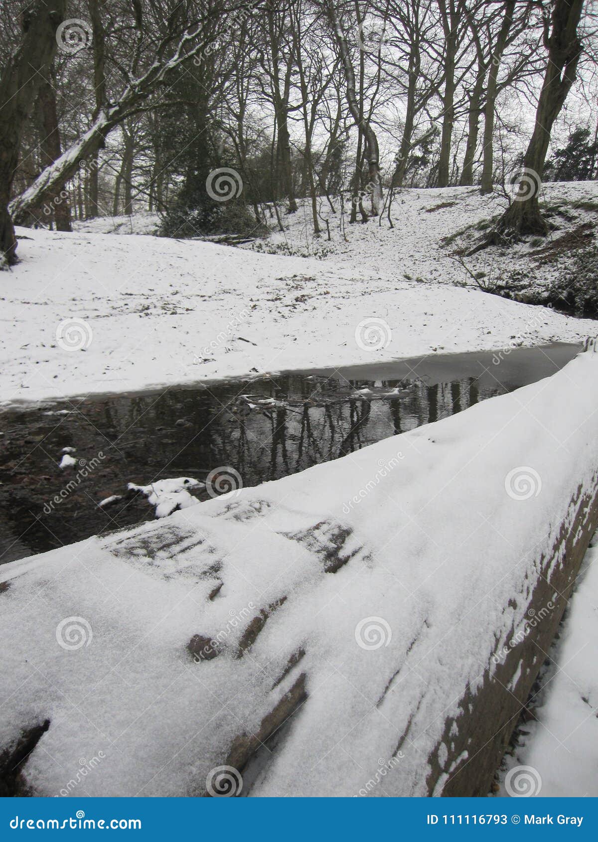 Frozen Tree Trunk stock image. Image of winter, tree - 111116793