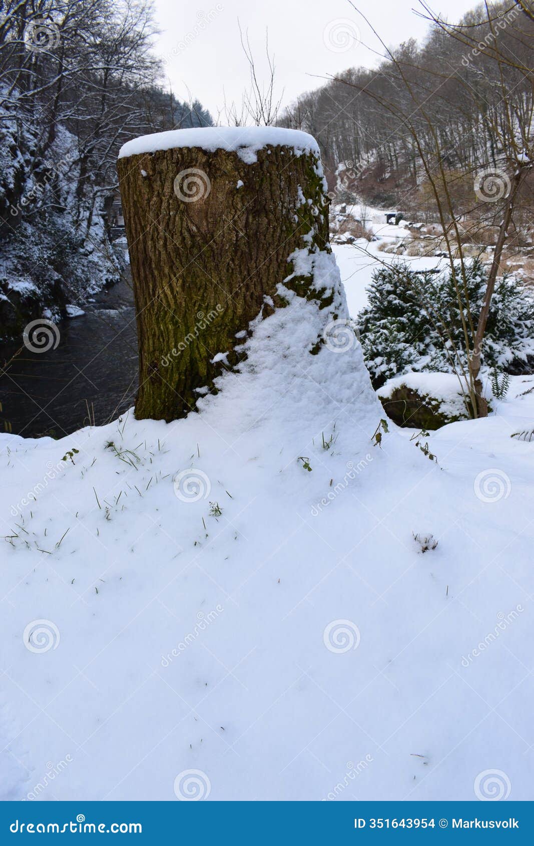 Snow Tree Trunk with Small River Flood Stock Photo - Image of freezing ...