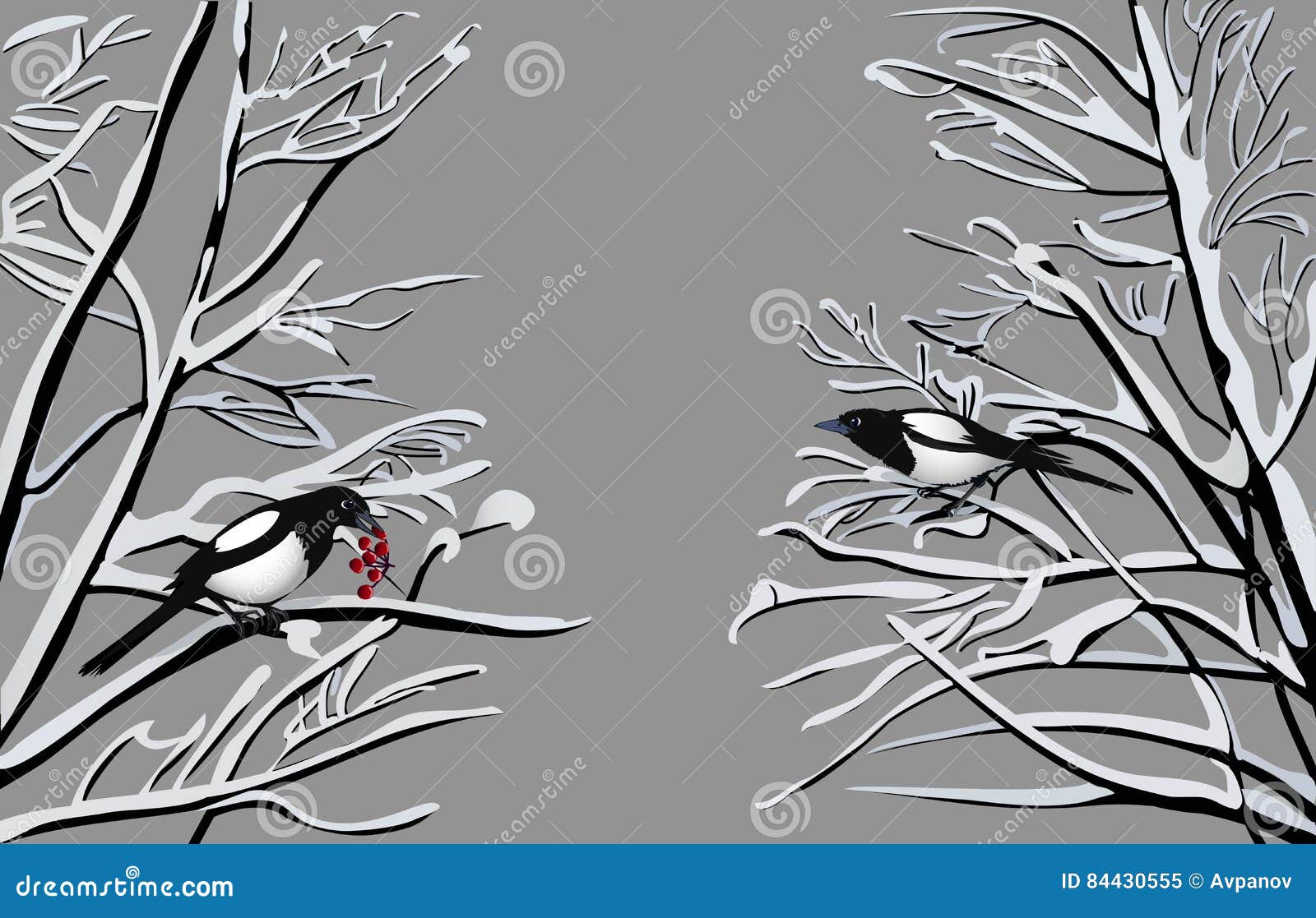 Magpie On The Branches Of Ash Tree. Vector Sketch Stock Photo ...
