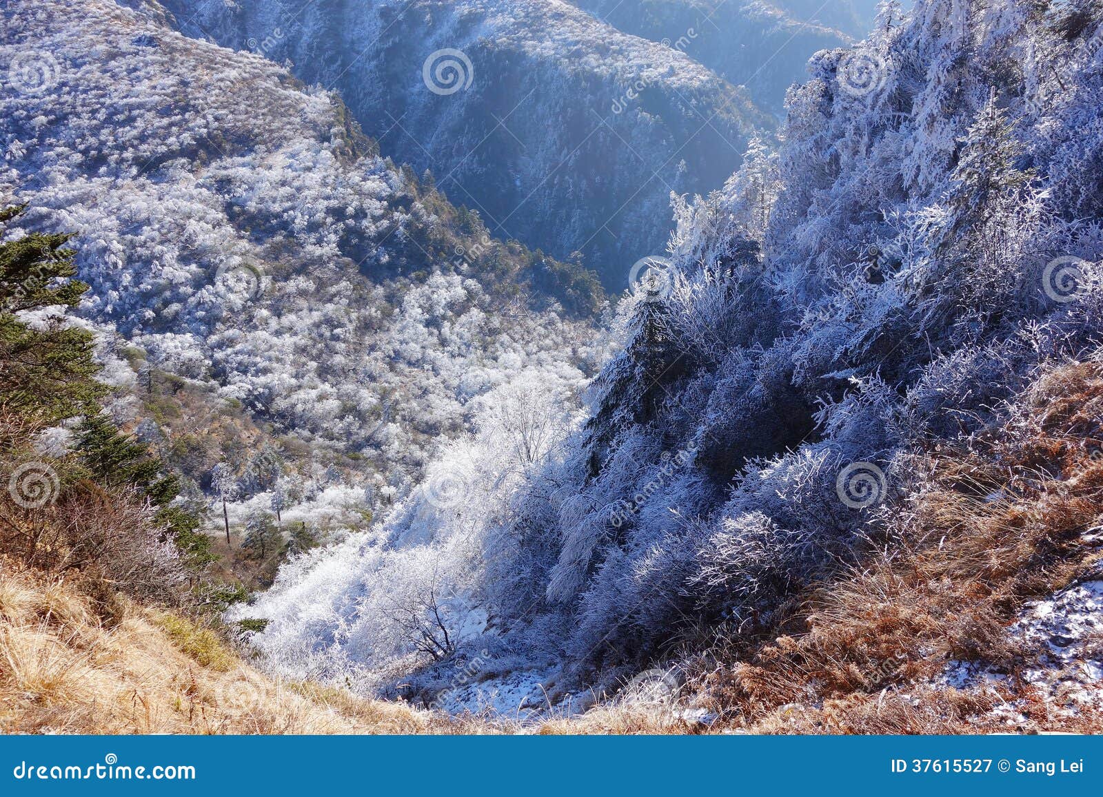 Snow Trees on Niubei Mountain Stock Image - Image of slope, china: 37615527