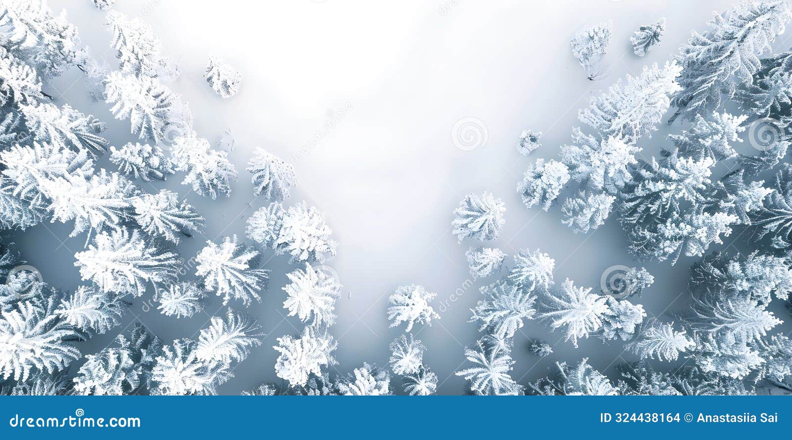 Snow trees top view stock photo. Image of tree, season - 324438164
