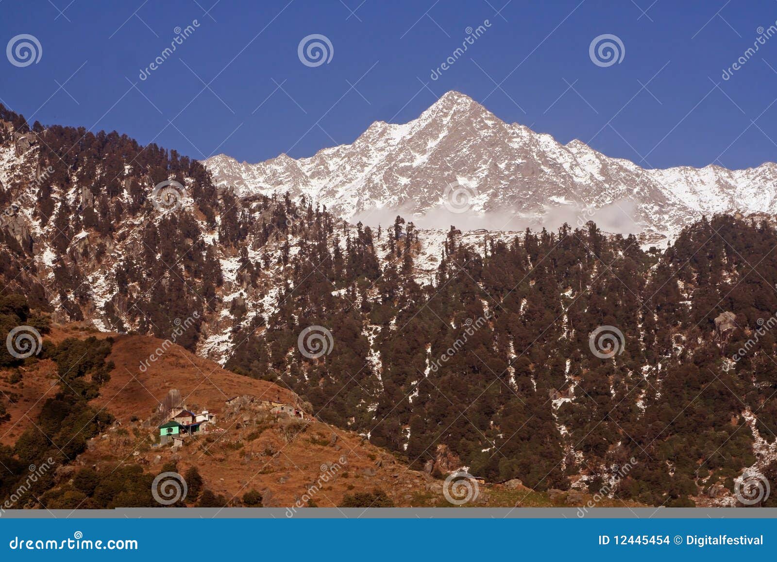 Snow Trekking Routes Via Triund, Kangra, India Stock Photo - Image of ... Snow Trekking Routes Via Triund, Kangra, India Stock Photo - Image of ...