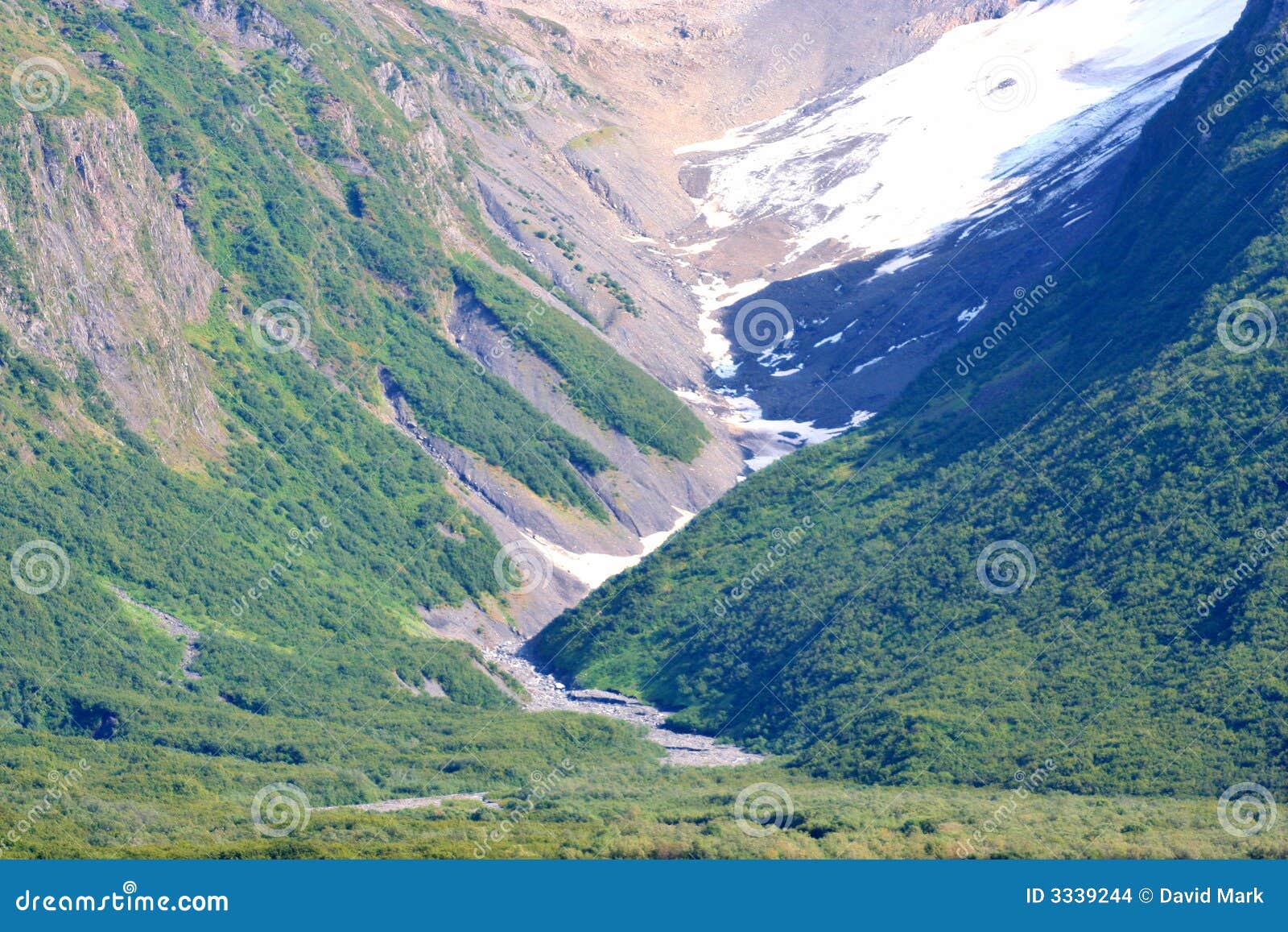 Snow and Valley stock photo. Image of mount, forest, landscape - 3339244