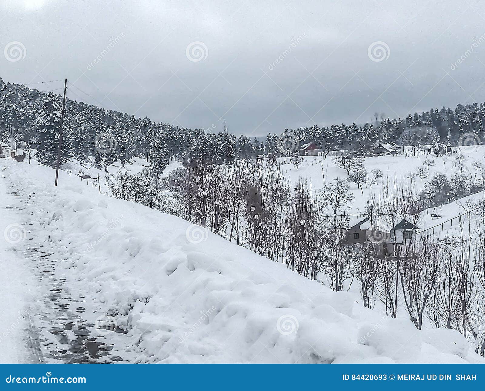 Snow Valley stock image. Image of snowy, snow, forest - 84420693