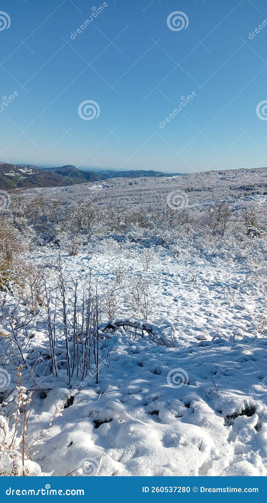 Snow Valley view stock photo. Image of arctic, flower - 260537280