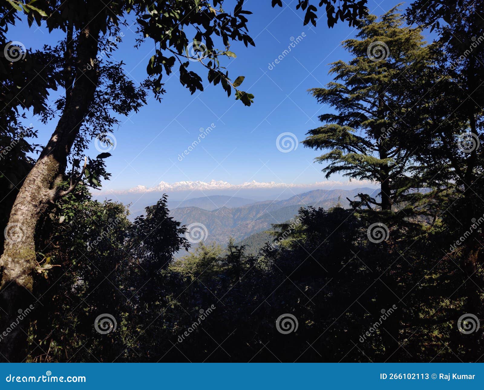 Snow view point stock image. Image of light, woodland - 266102113