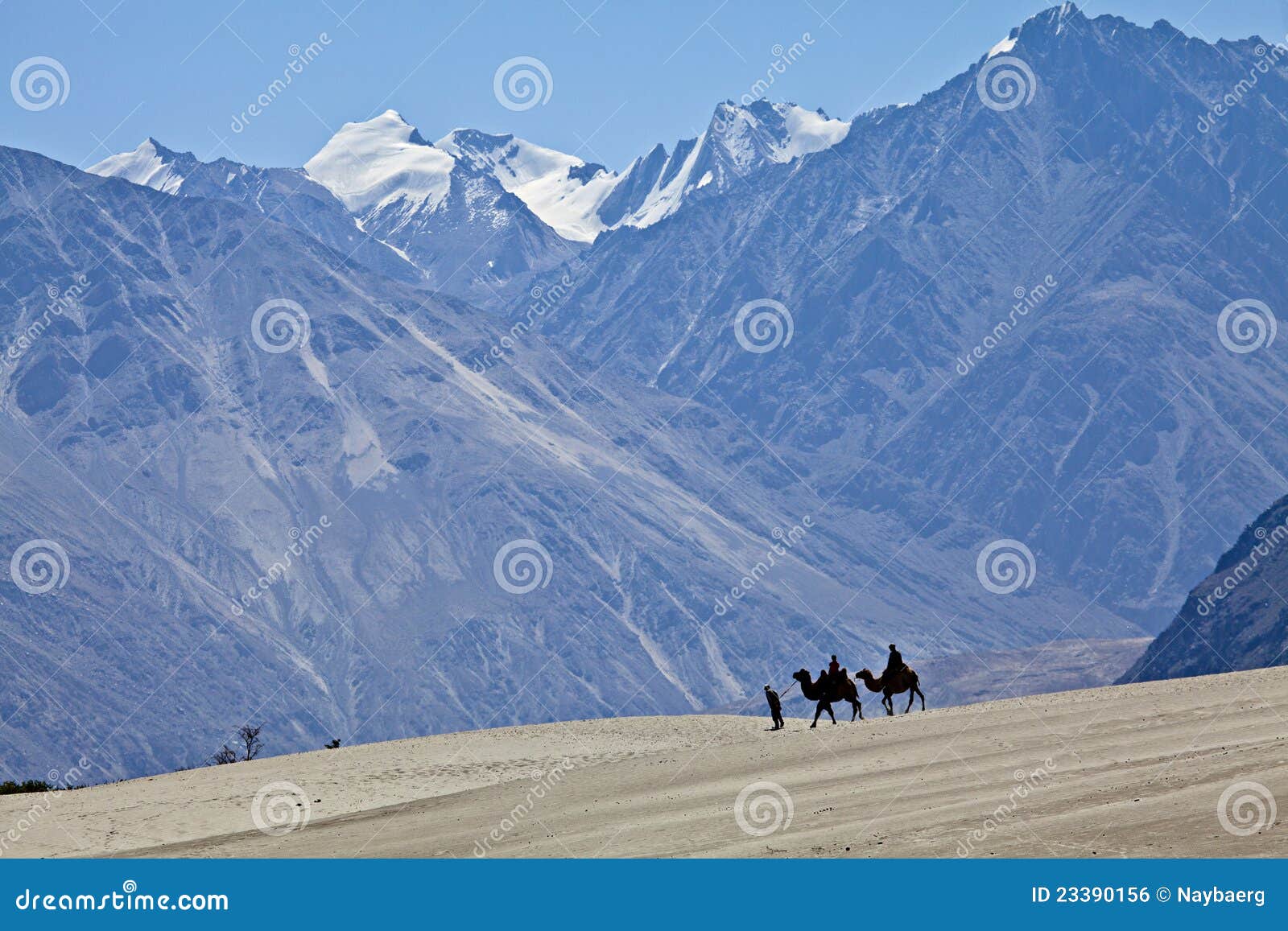 Snow vs sand dune stock photo. Image of landscape, desert - 23390156