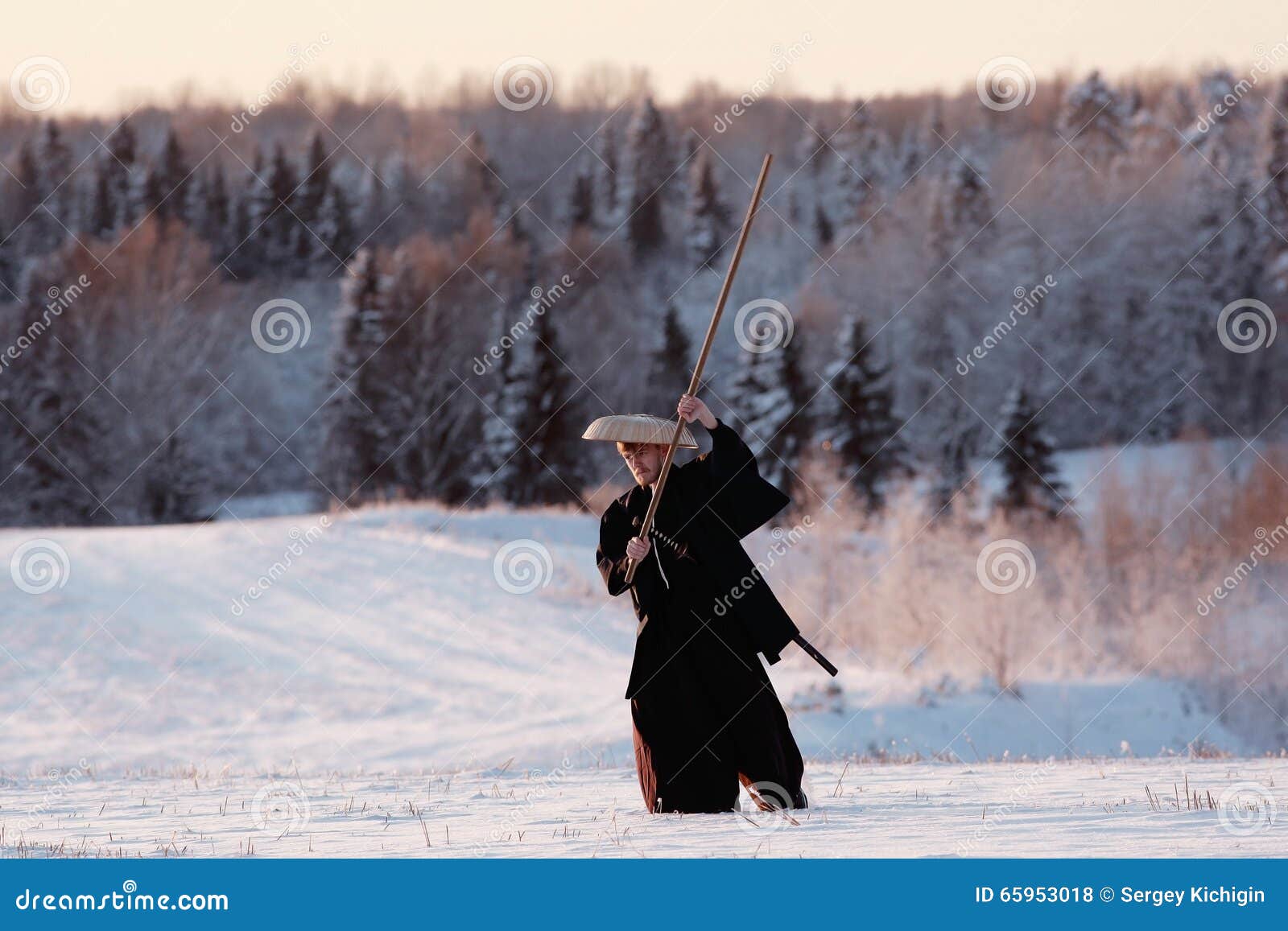Snow Warrior Meditation stock photo. Image of knight - 65953018