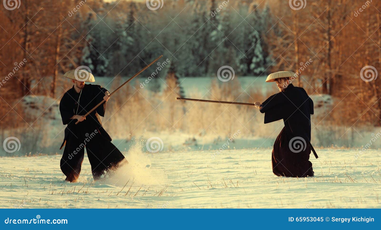 Snow Warrior Meditation stock image. Image of knight - 65953045